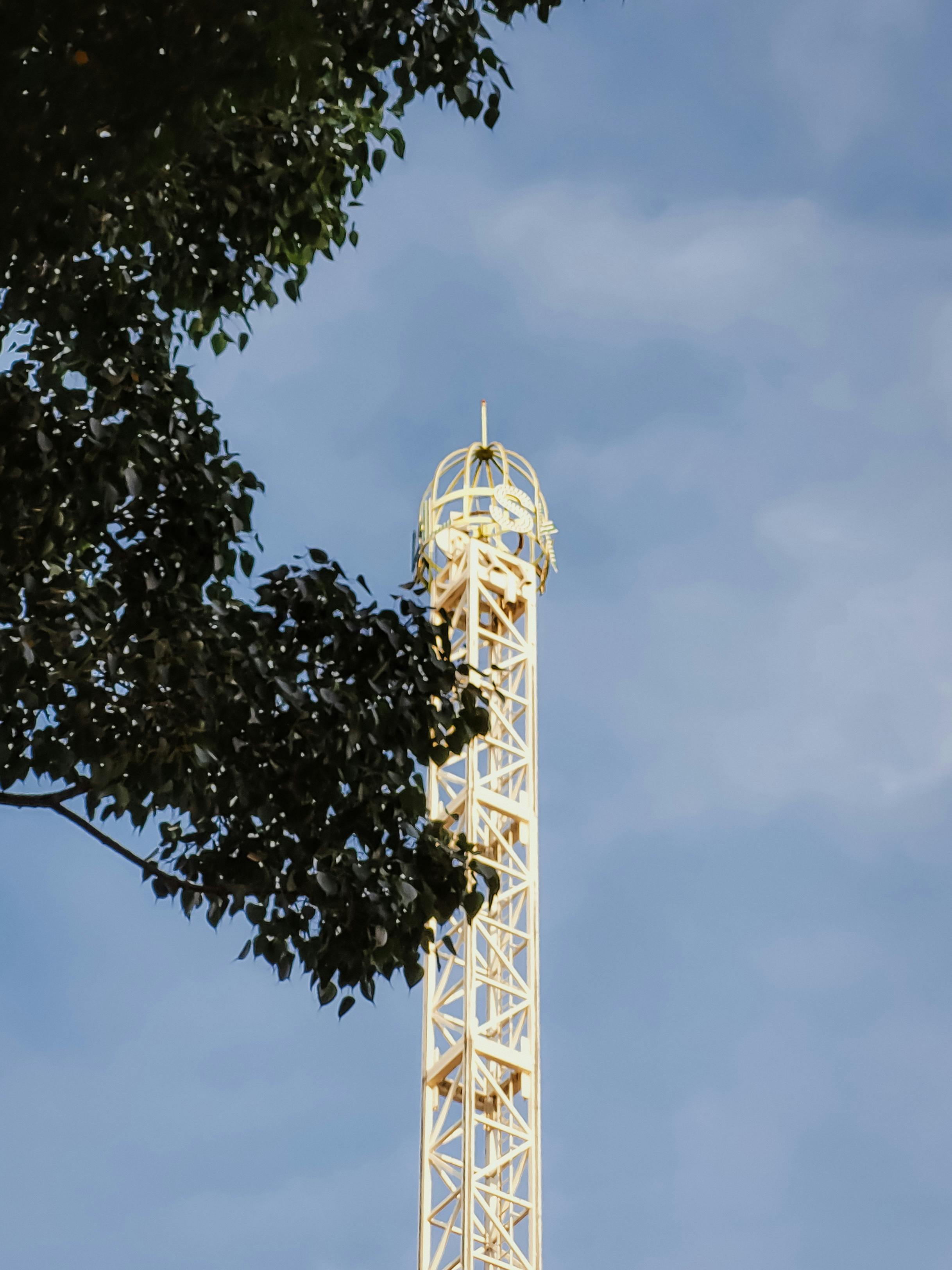 Bulkhead Structure Photos, Download Free Bulkhead Structure Stock ...