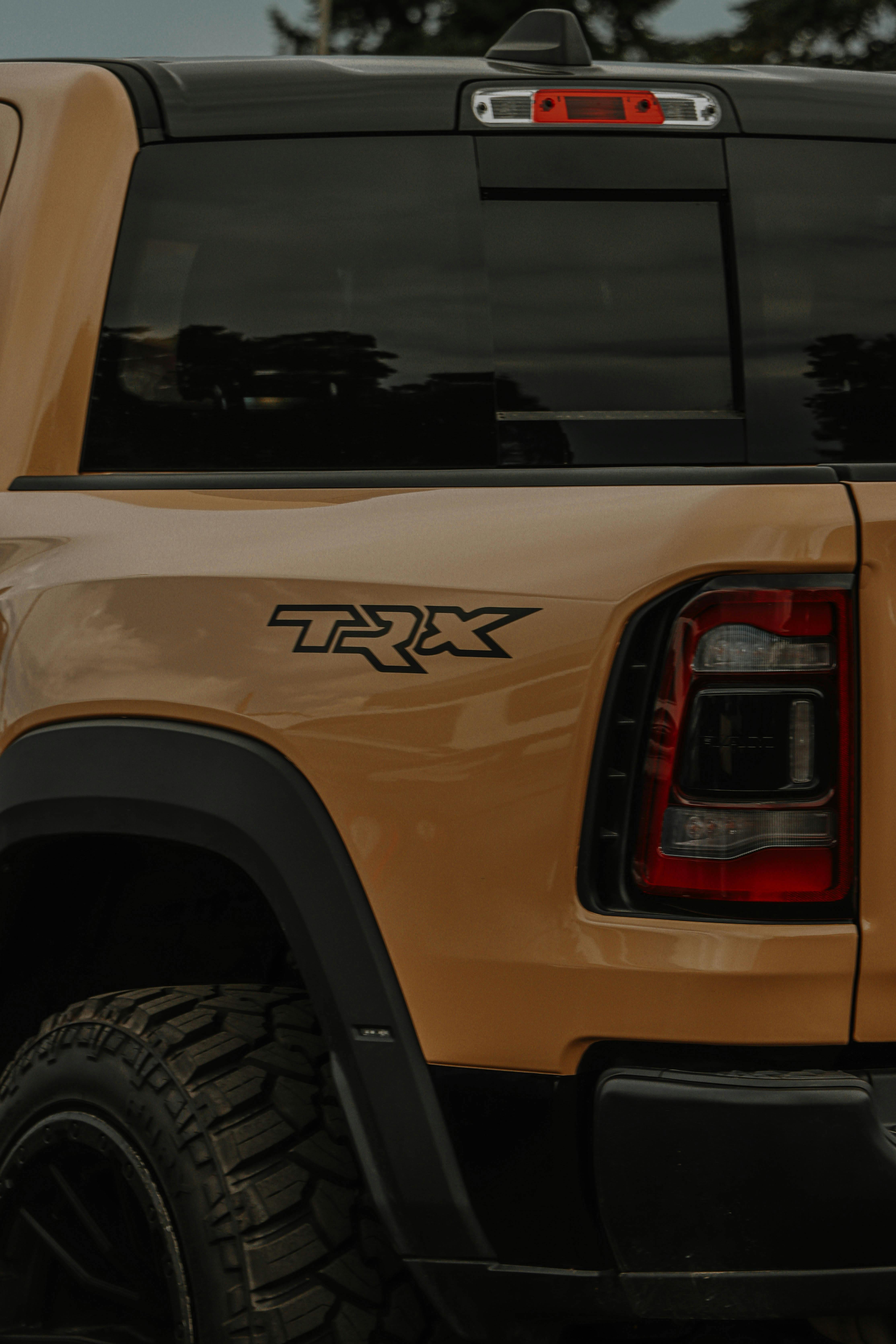 Trx Photos, Download The BEST Free Trx Stock Photos & HD Images