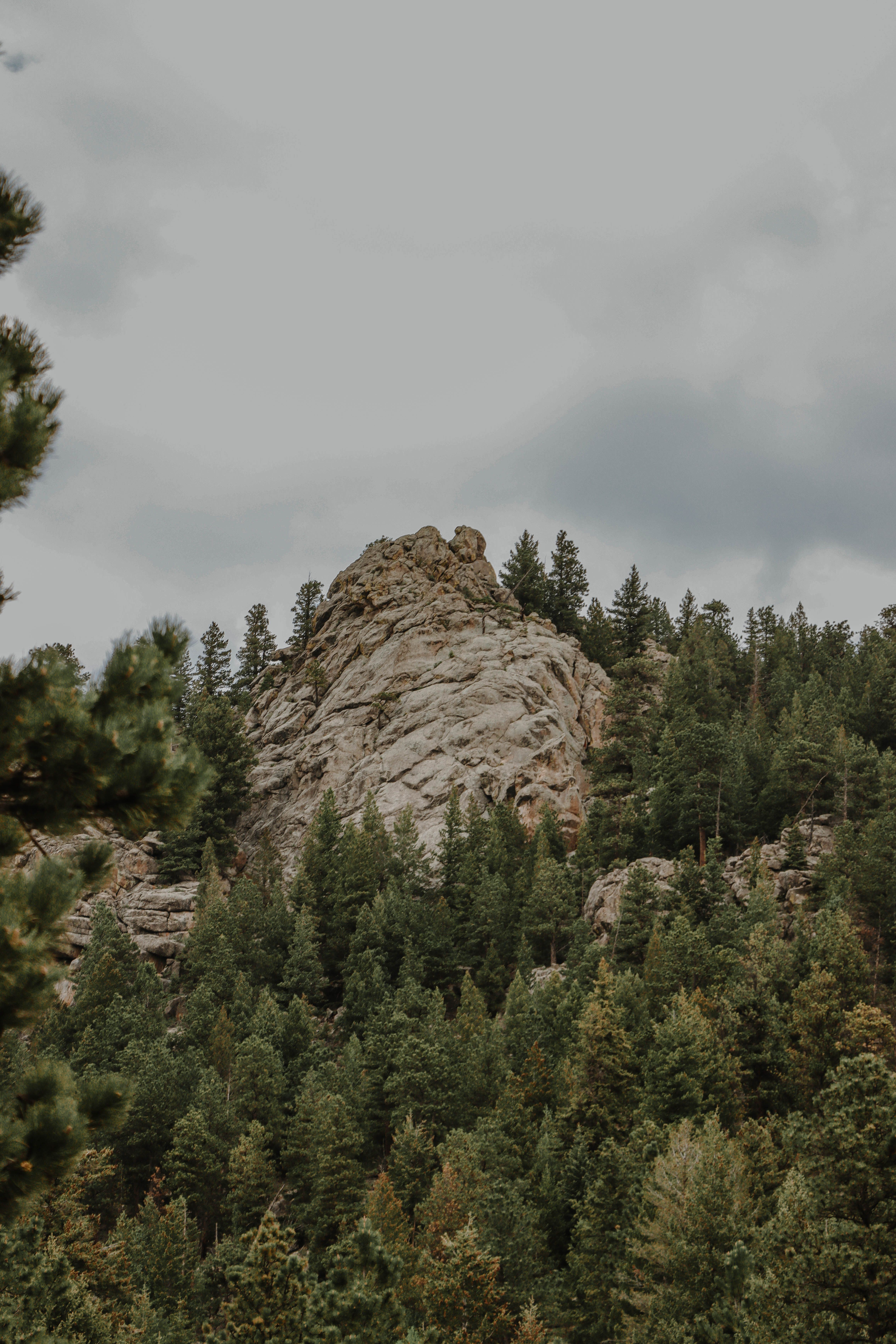 Rocky Mountain with Trees · Free Stock Photo