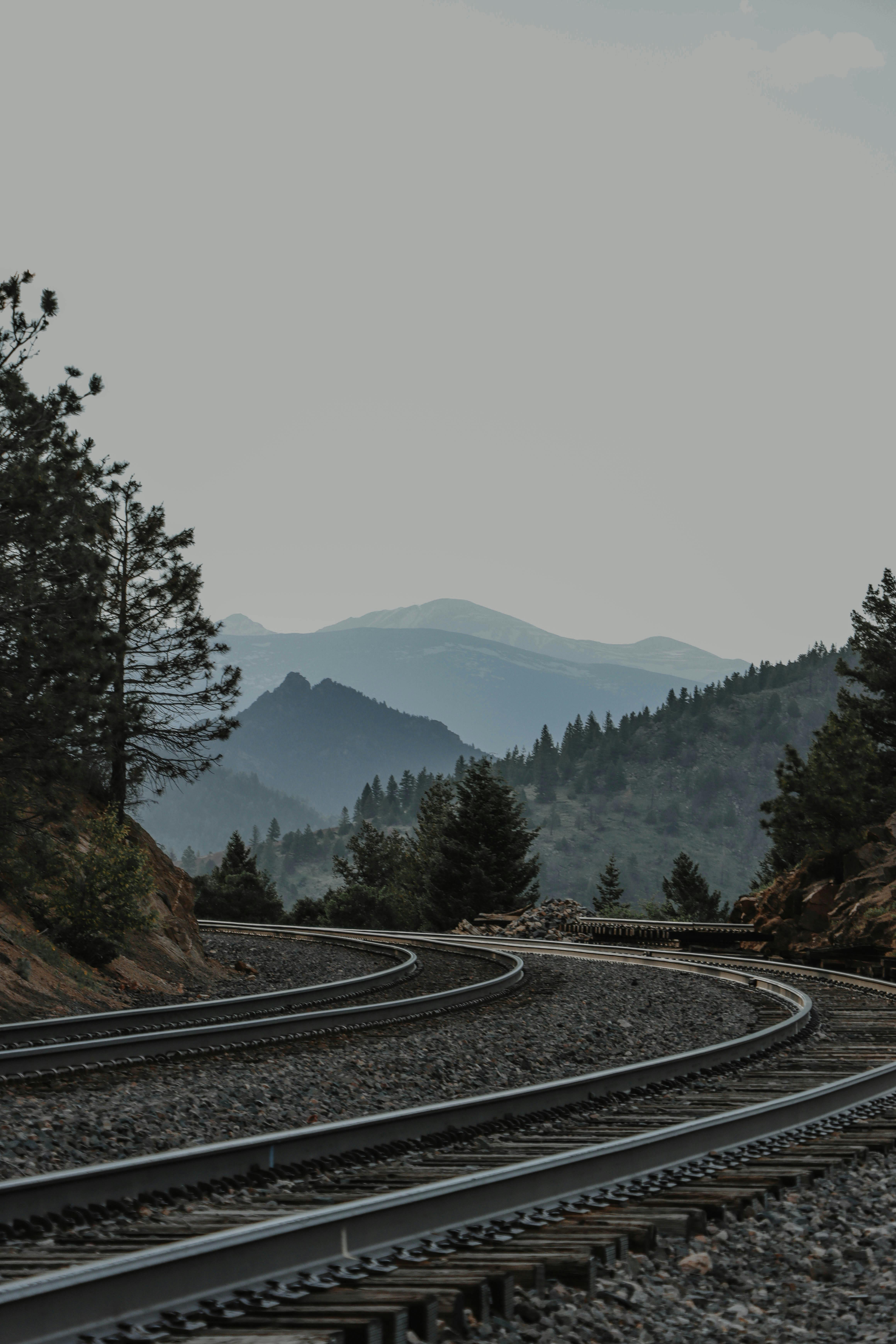 Train Tracks Near Pine Trees · Free Stock Photo