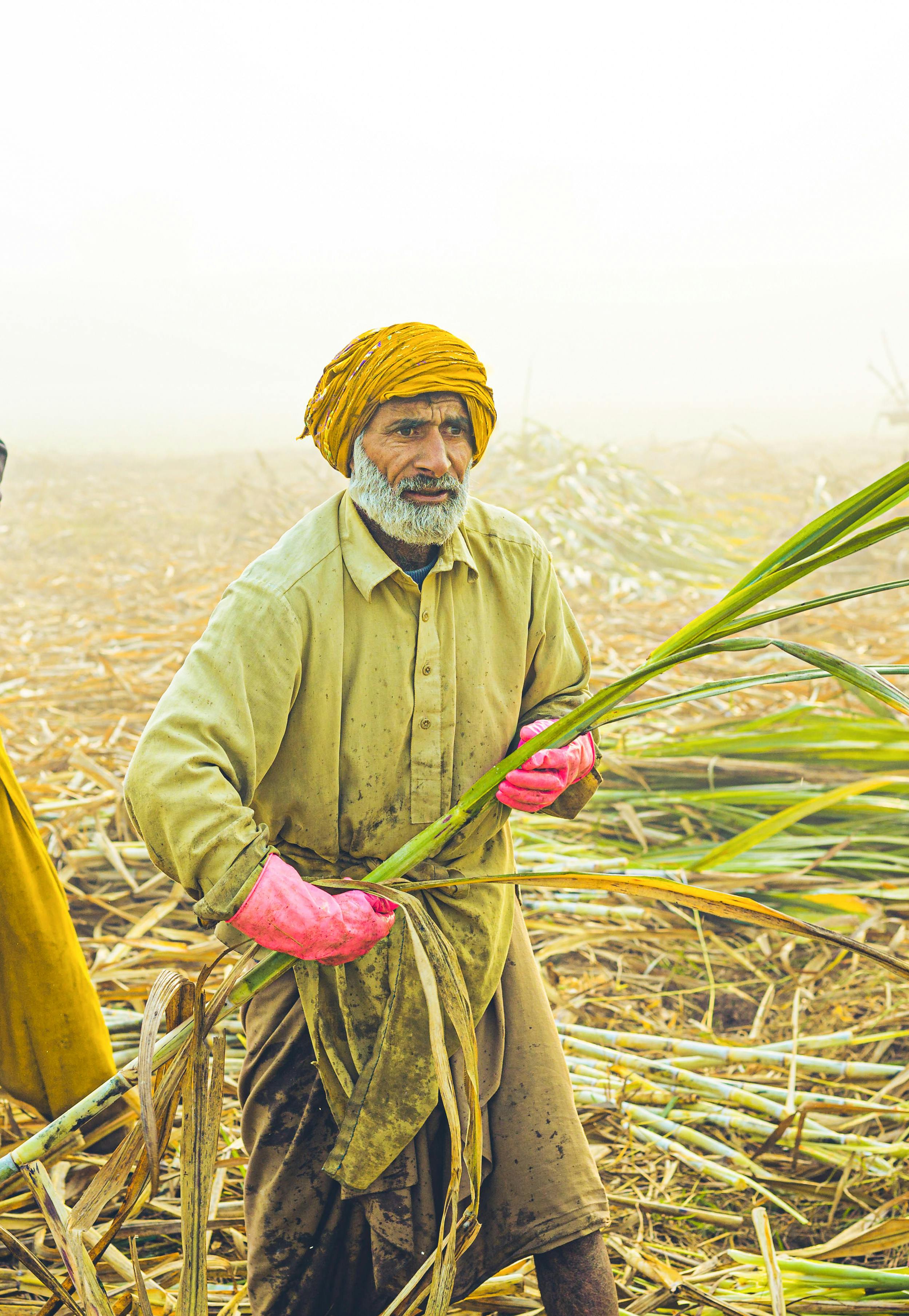 Old Farming Photos, Download The BEST Free Old Farming Stock Photos ...