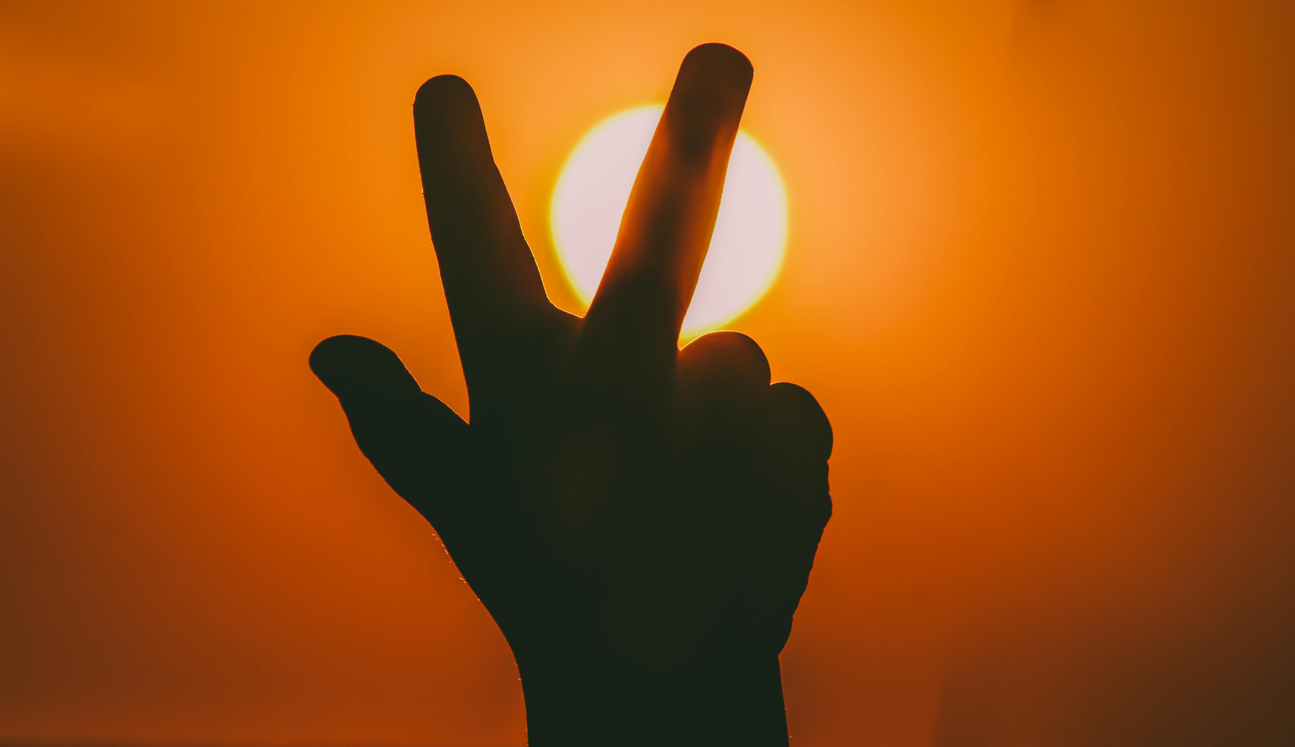Silhouette of Hand During Dawn · Free Stock Photo