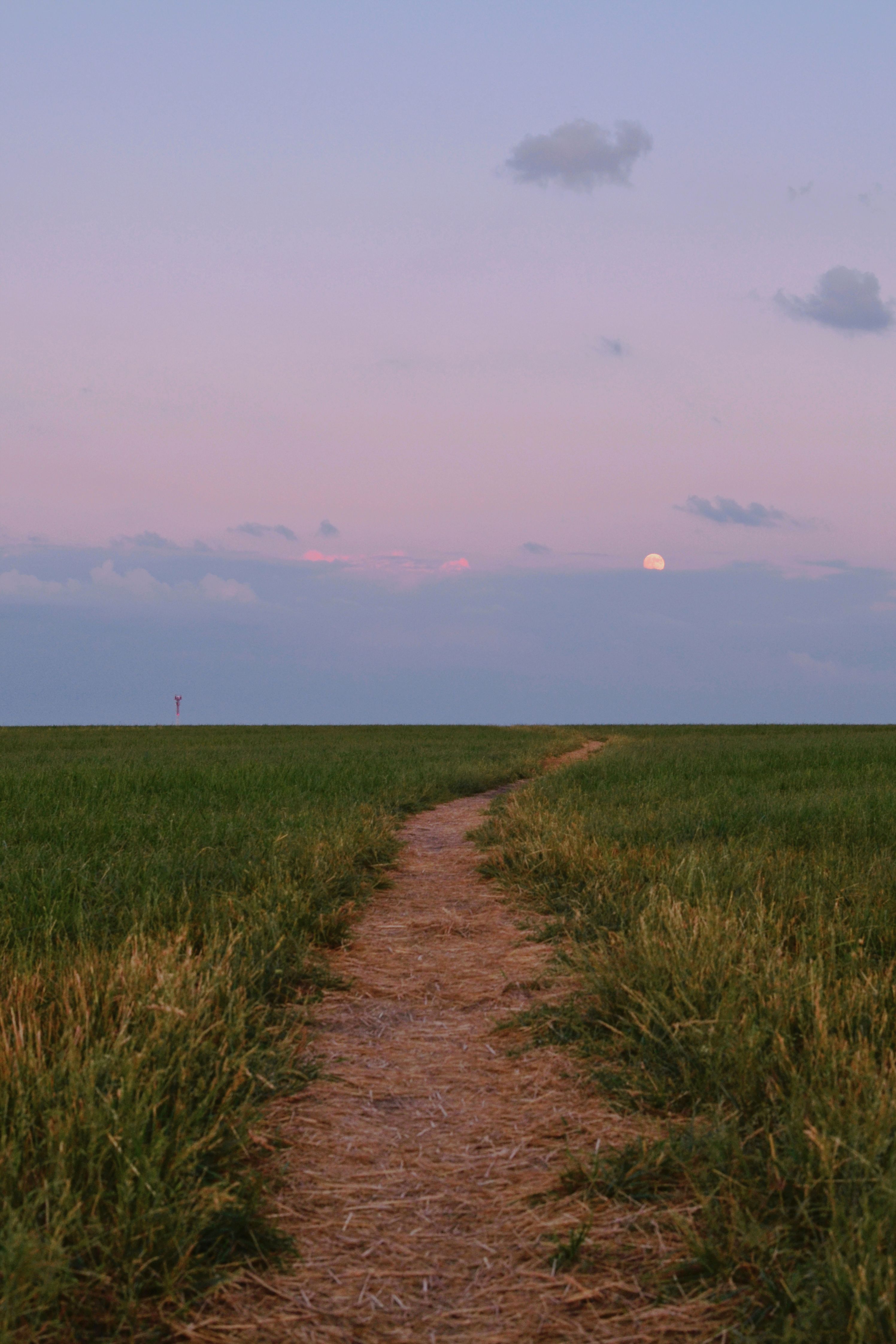 Photo of a Path Between Green Grass · Free Stock Photo