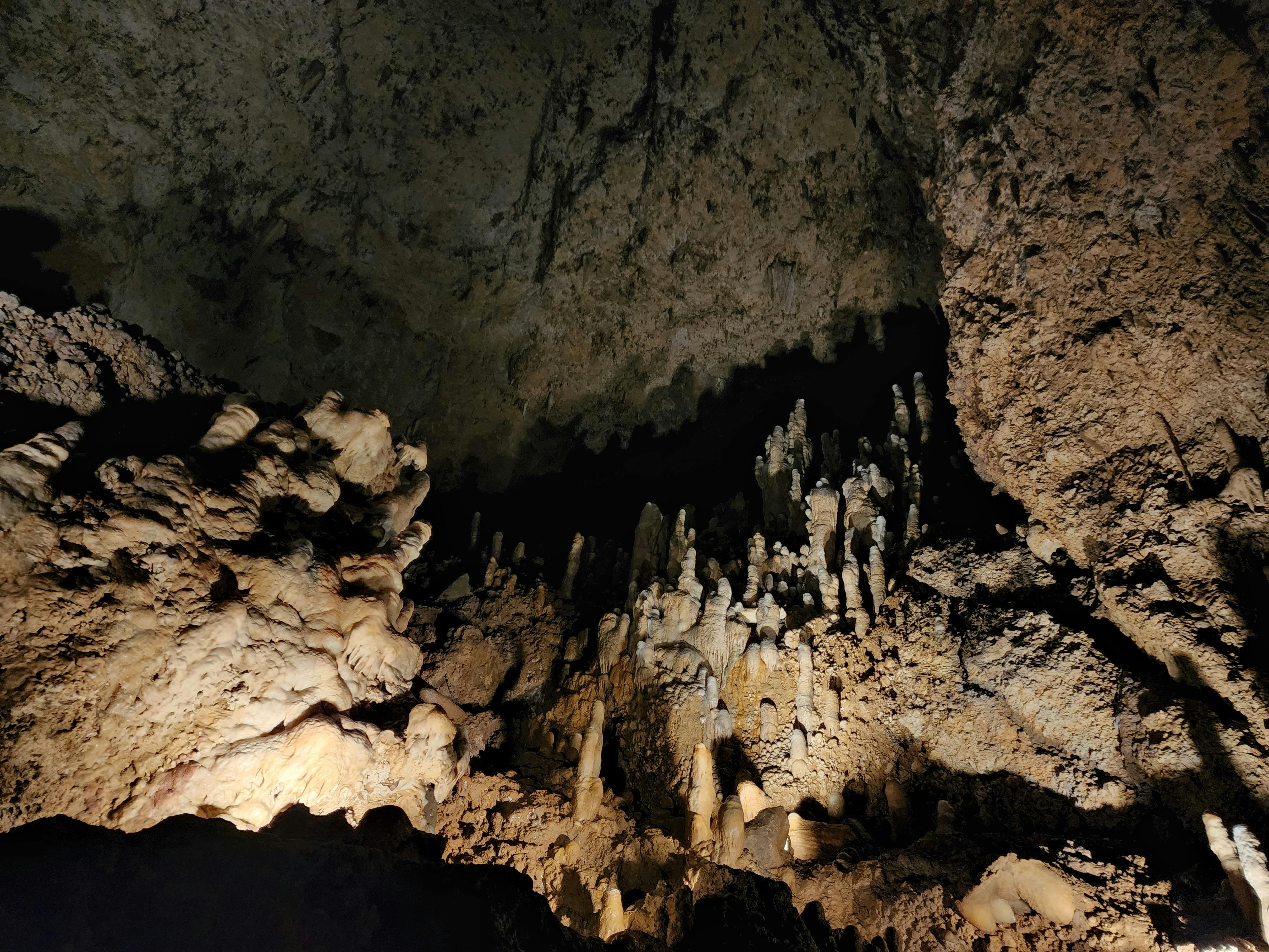 Jeffrey Reed - Fotografía