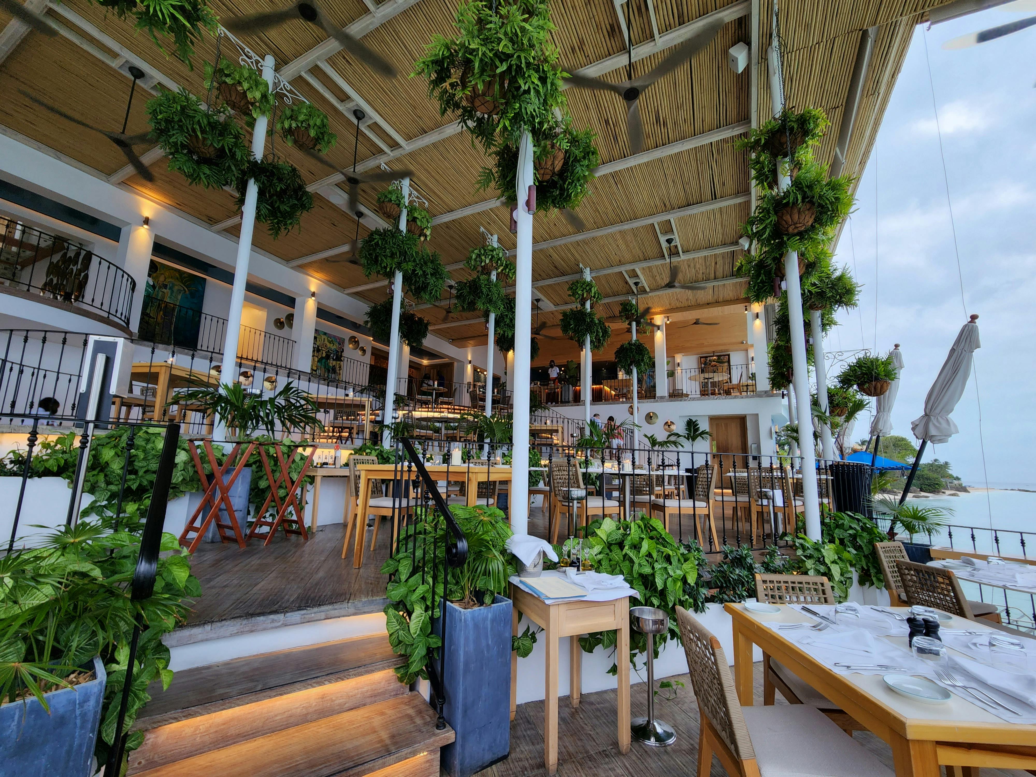 Jeffrey Reed - Photography