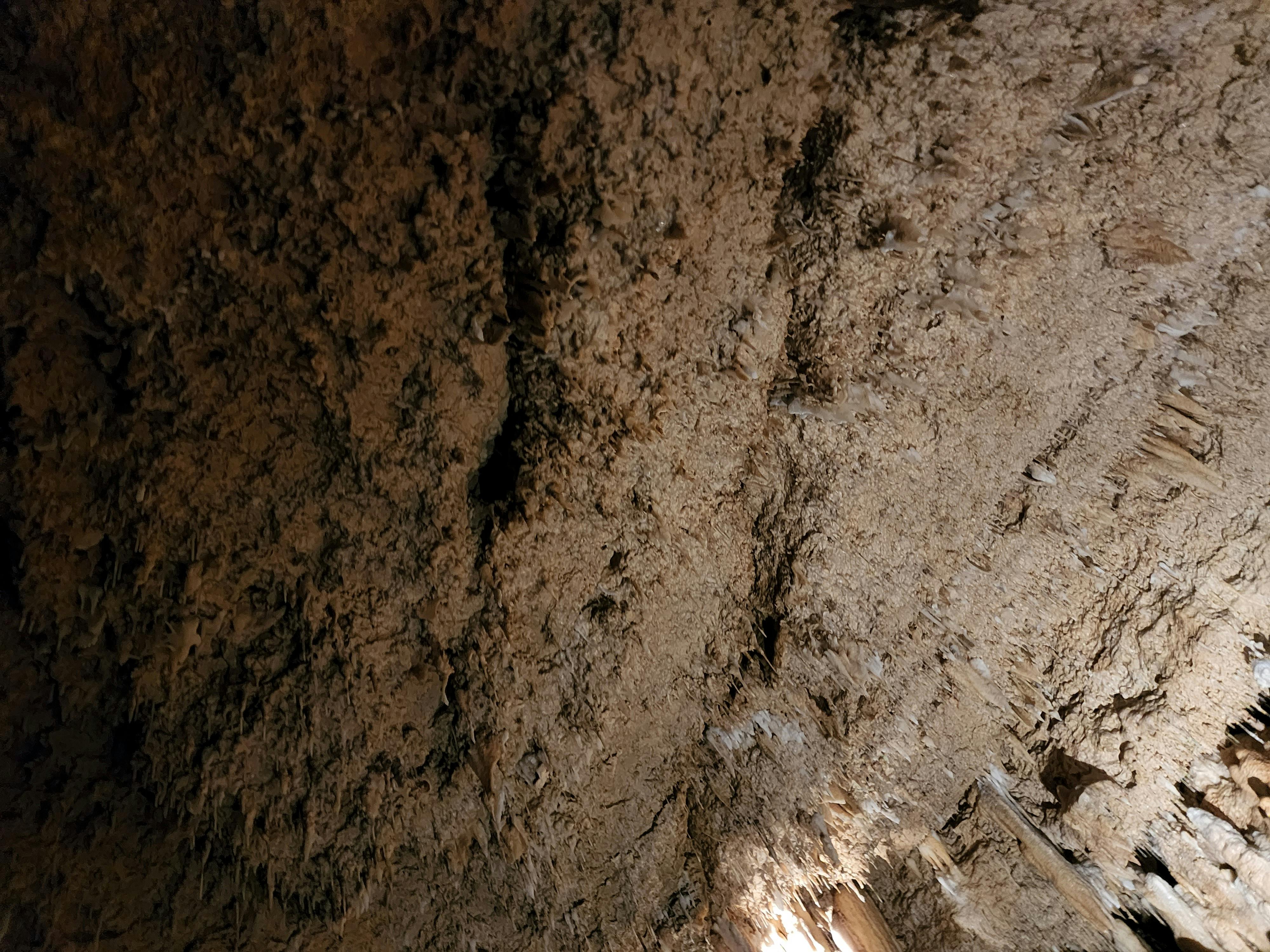 Jeffrey Reed - Photography