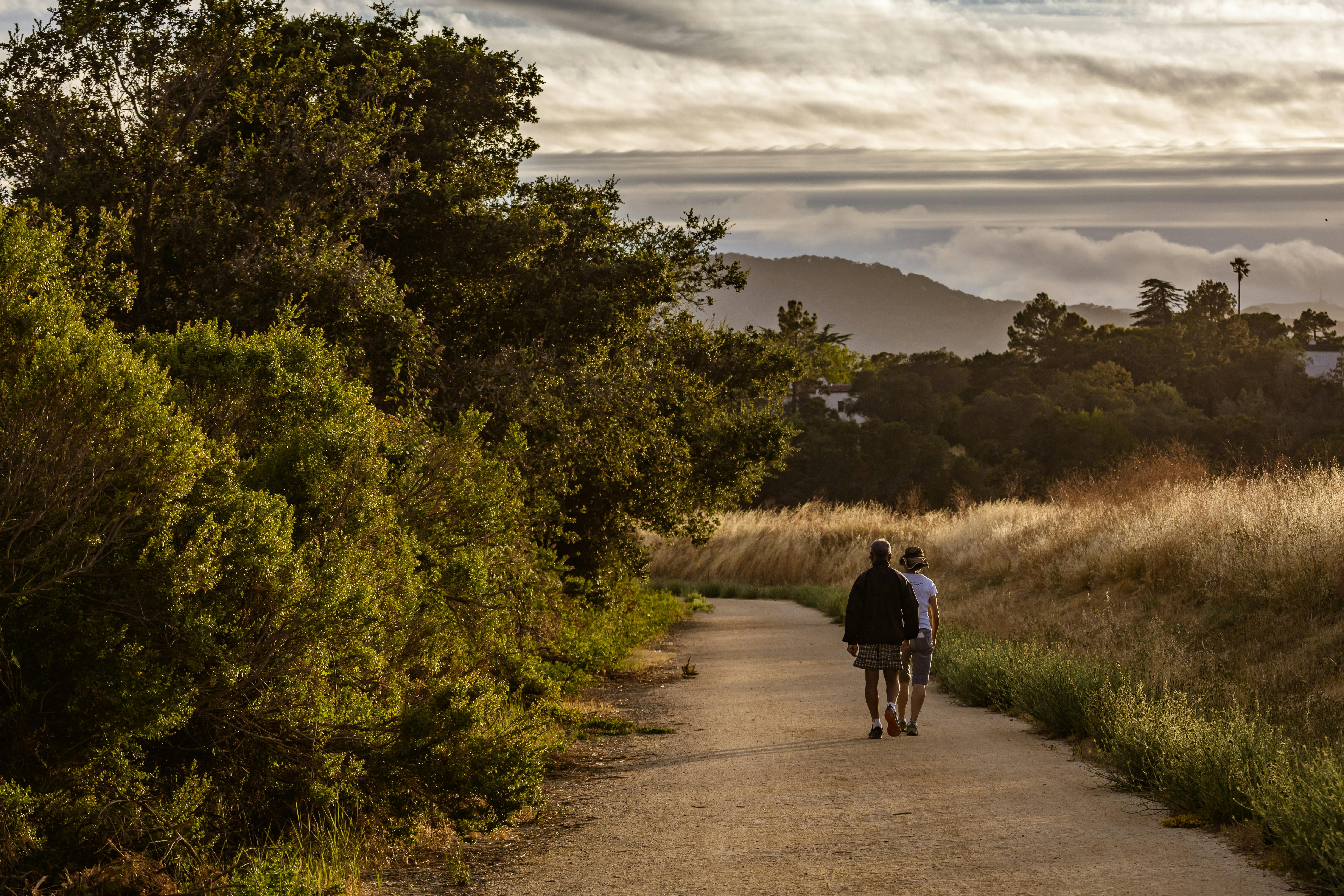 2 Person Walking on the Road Beside Green Trees · Free Stock Photo