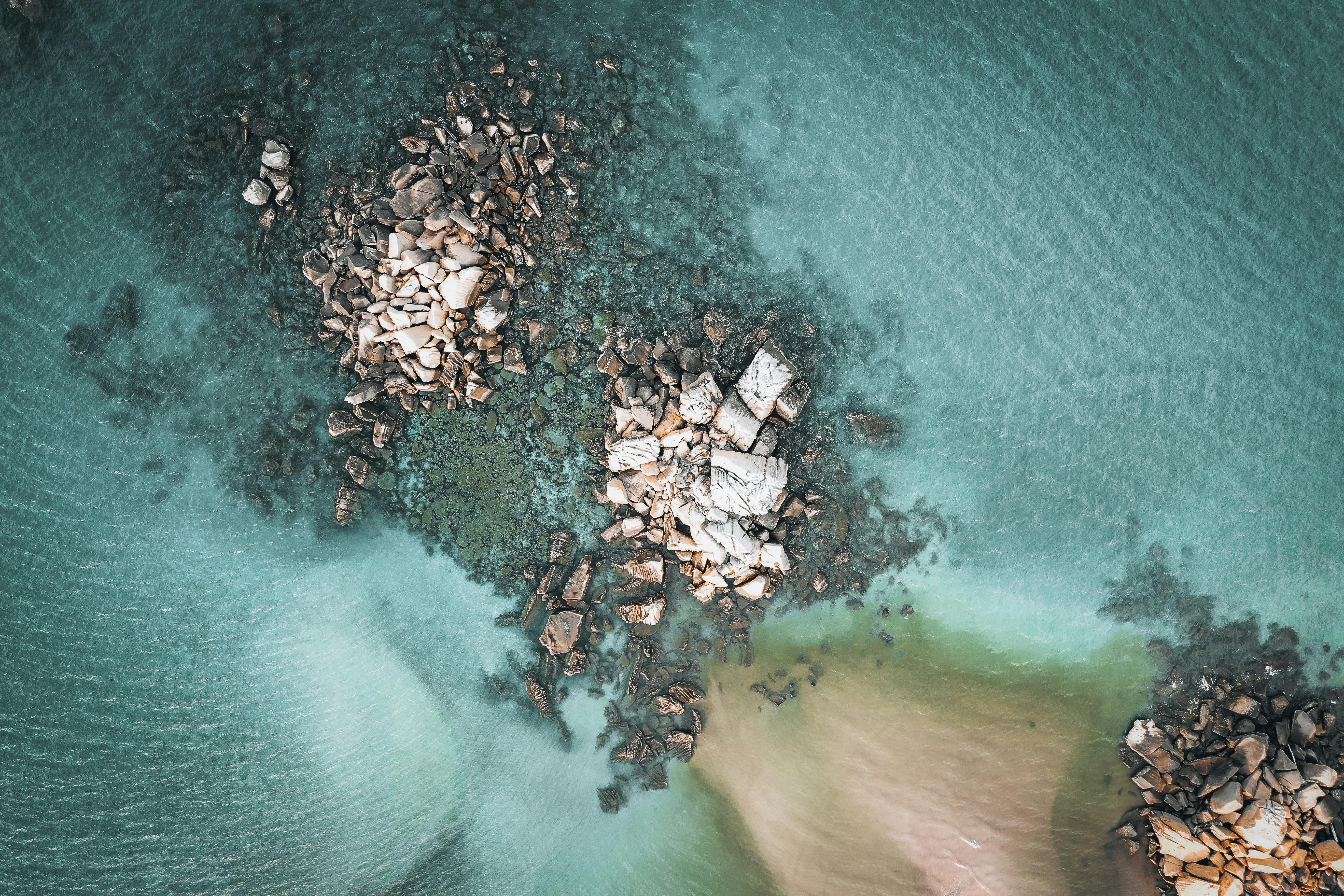 Rocks on Shore · Free Stock Photo