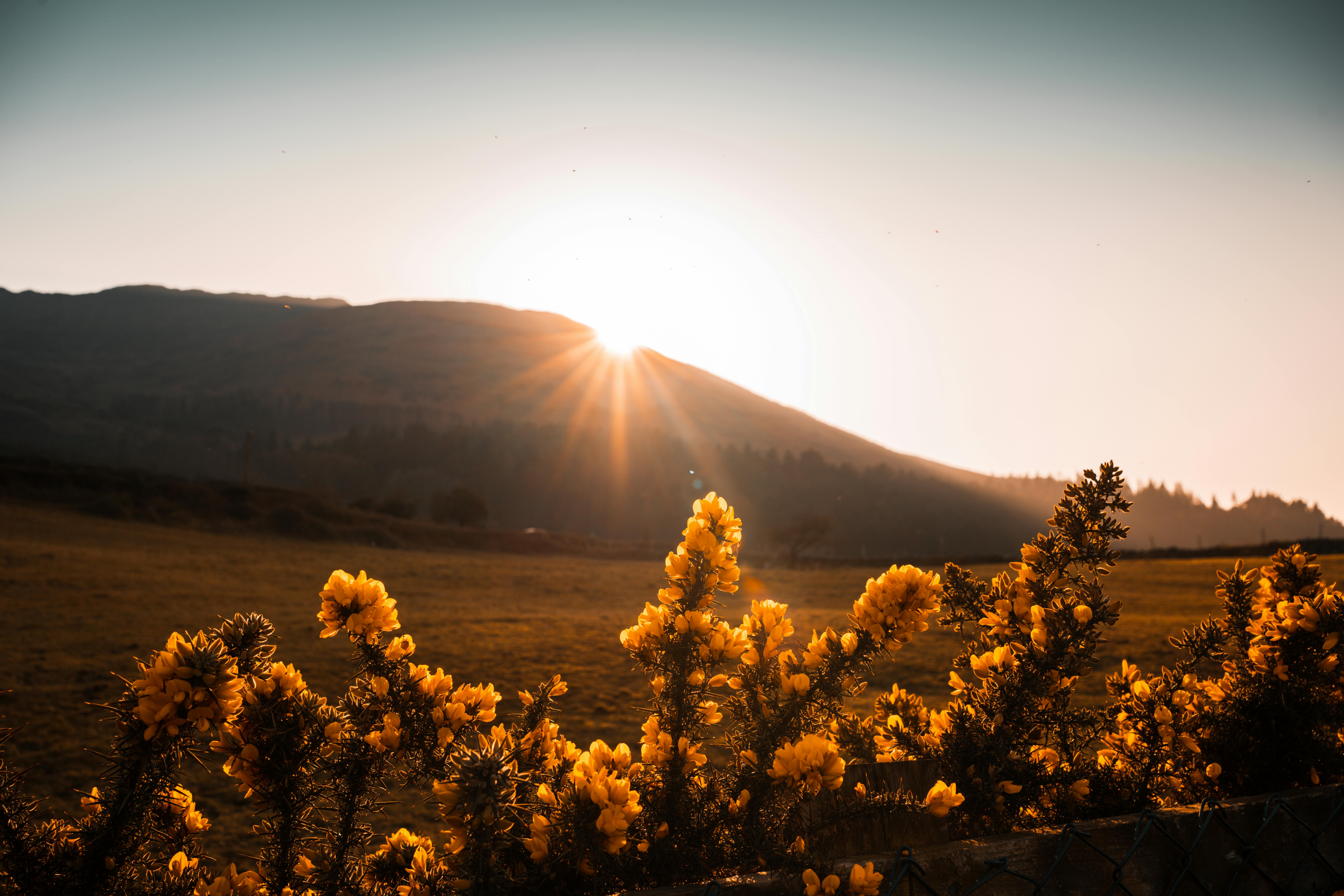 Sun Rising Behind the Mountain · Free Stock Photo