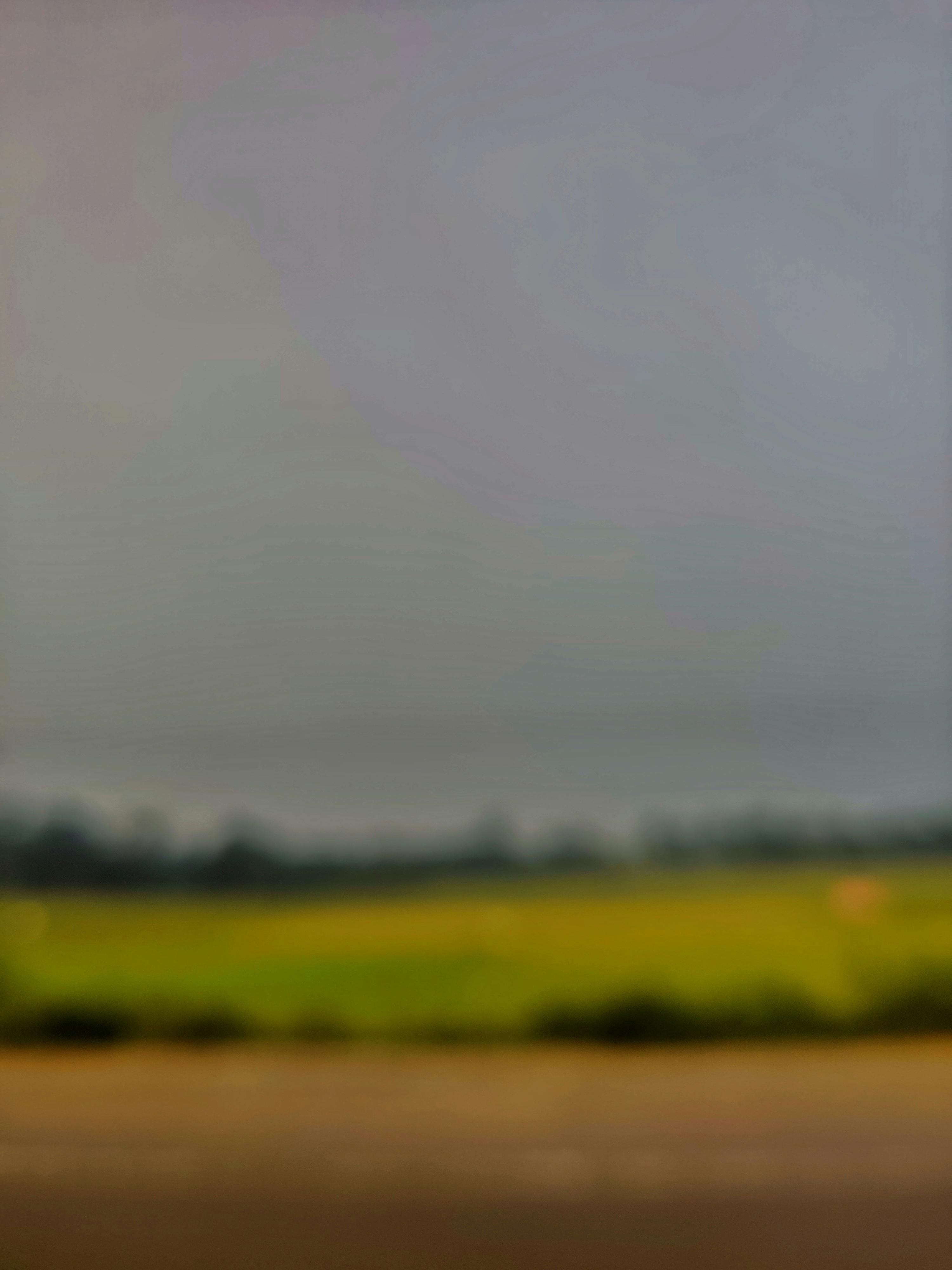 Samiul Shuvo - 사진