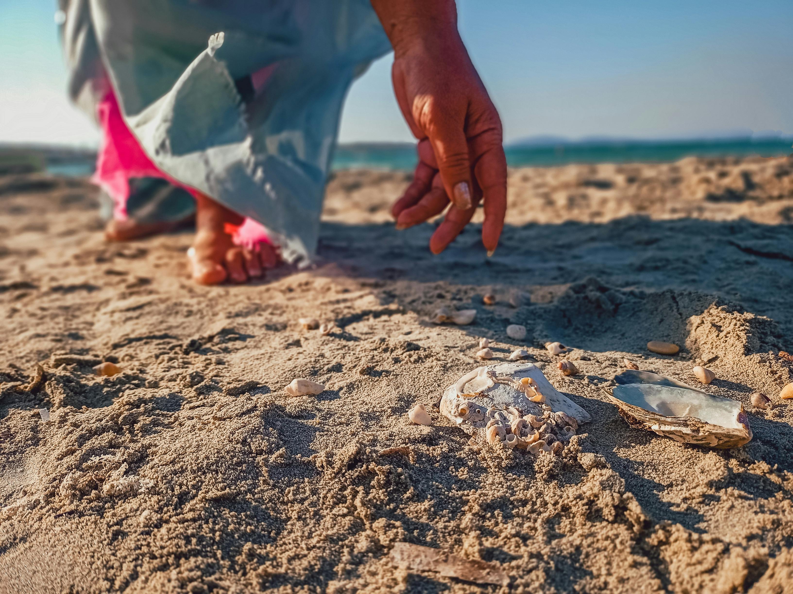 A Person Collecting Seashells o the Beach Shore · Free Stock Photo