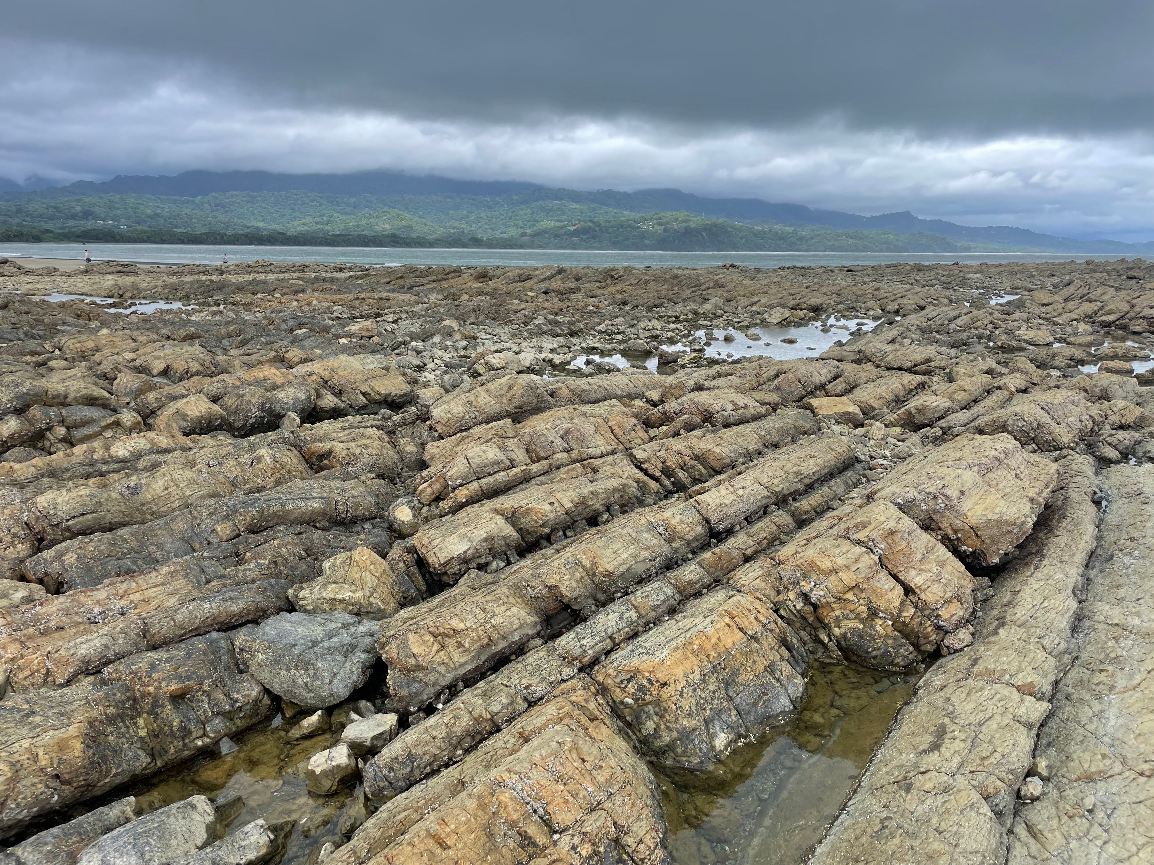 Brown Rocks on the Shore · Free Stock Photo