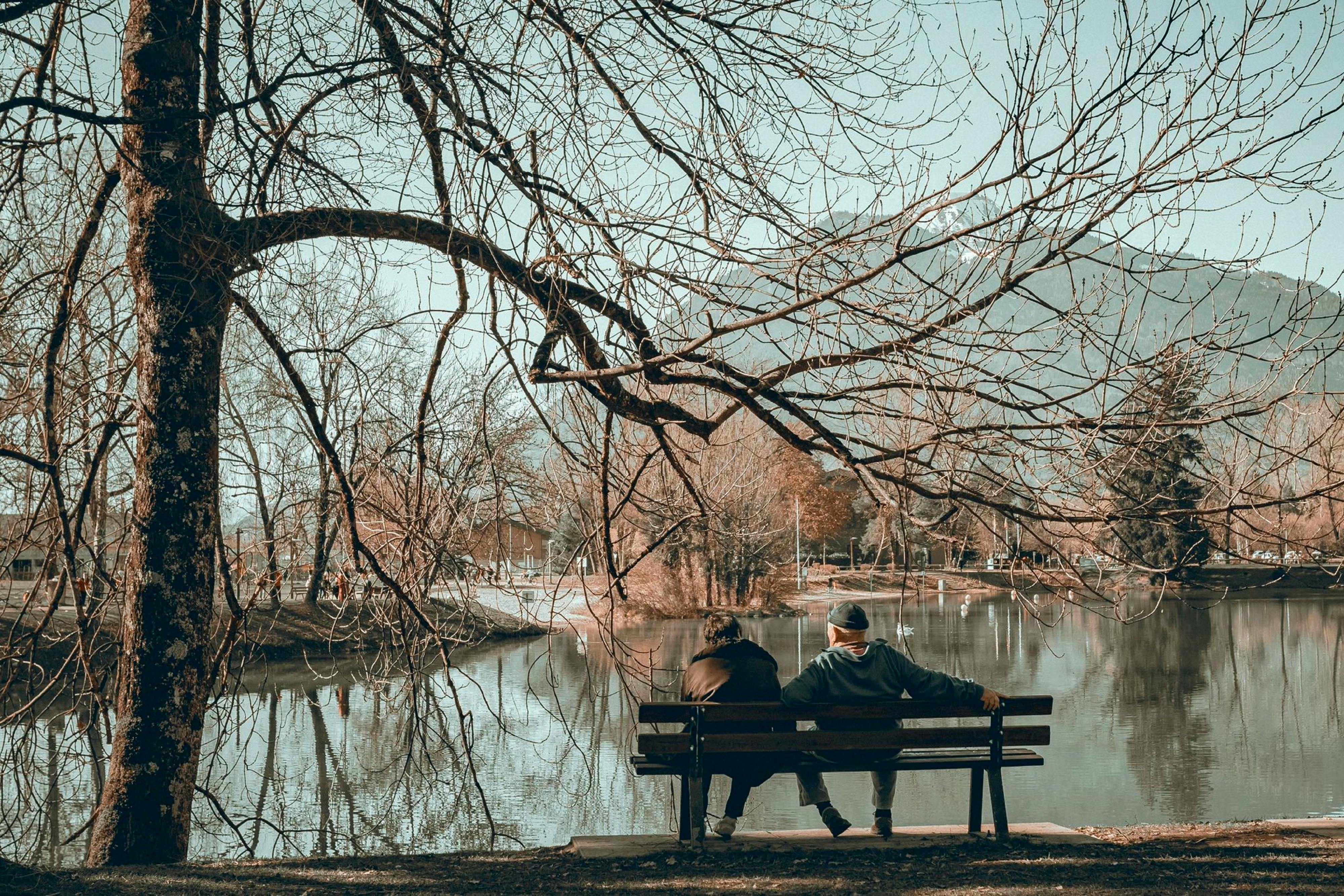 Red Tree Branch Reflected in Lake · Free Stock Photo