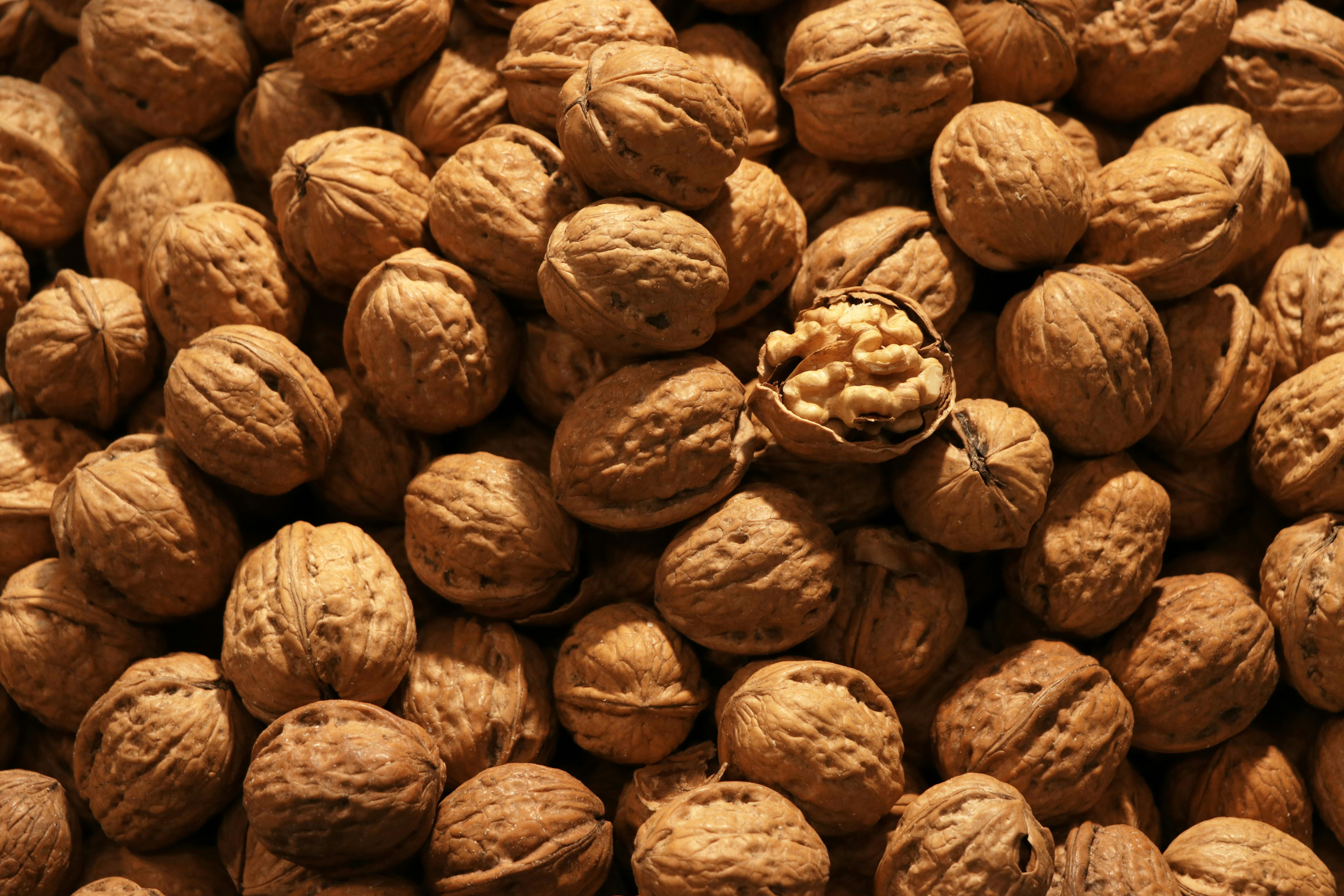 Free stock photo of nuts, walnut, walnuts