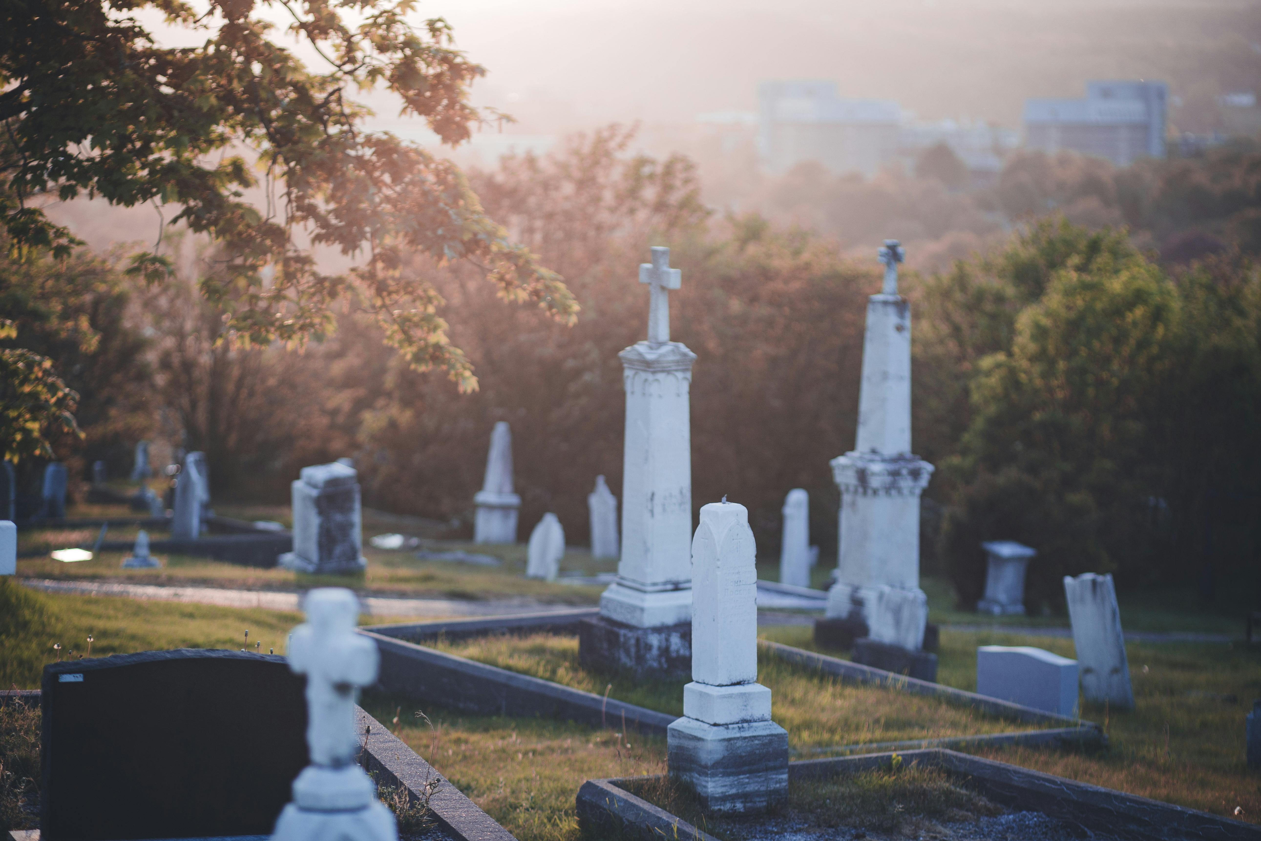 White Concrete Tombstones in Cemetery · Free Stock Photo