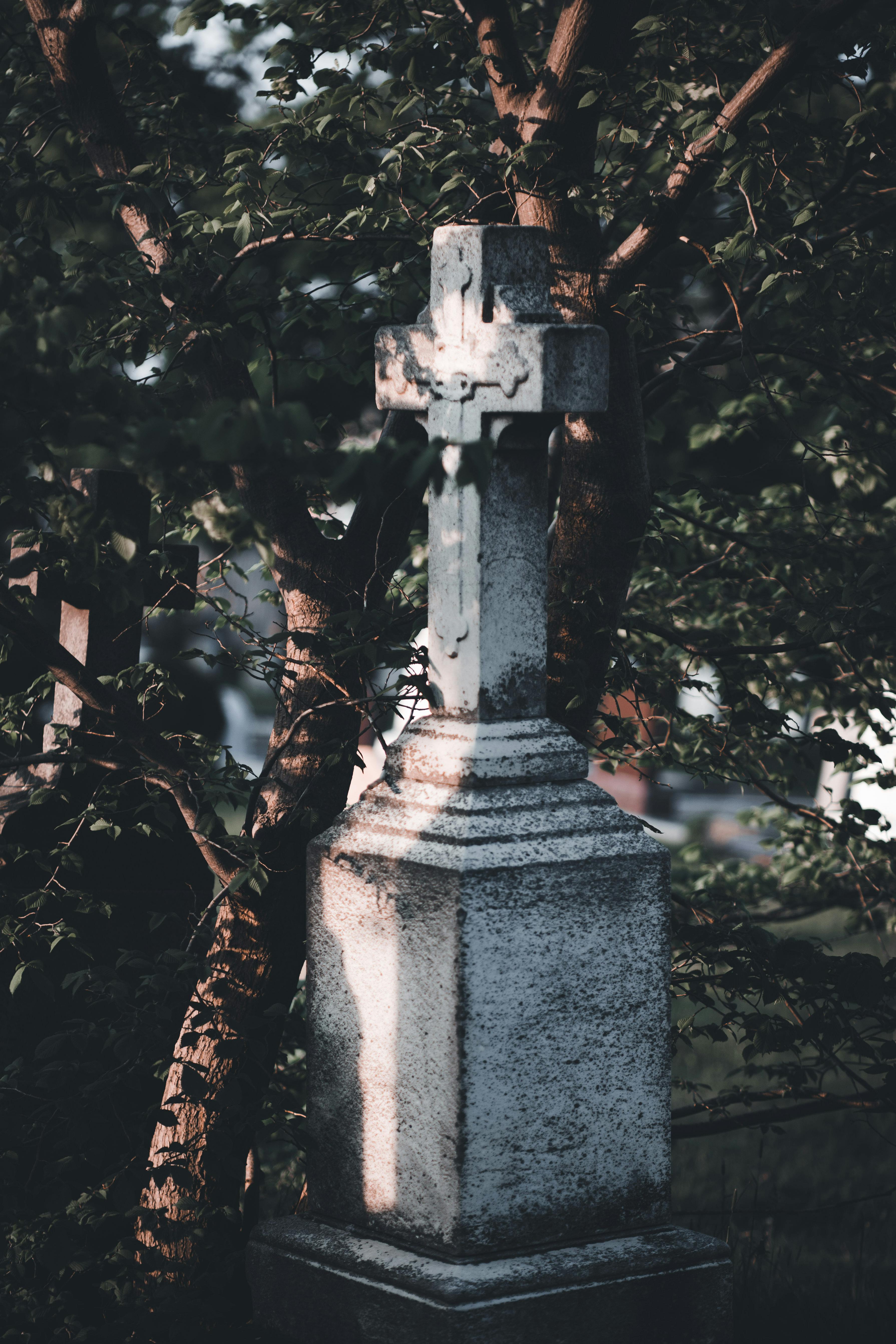 Concrete Cross on Cemetery · Free Stock Photo