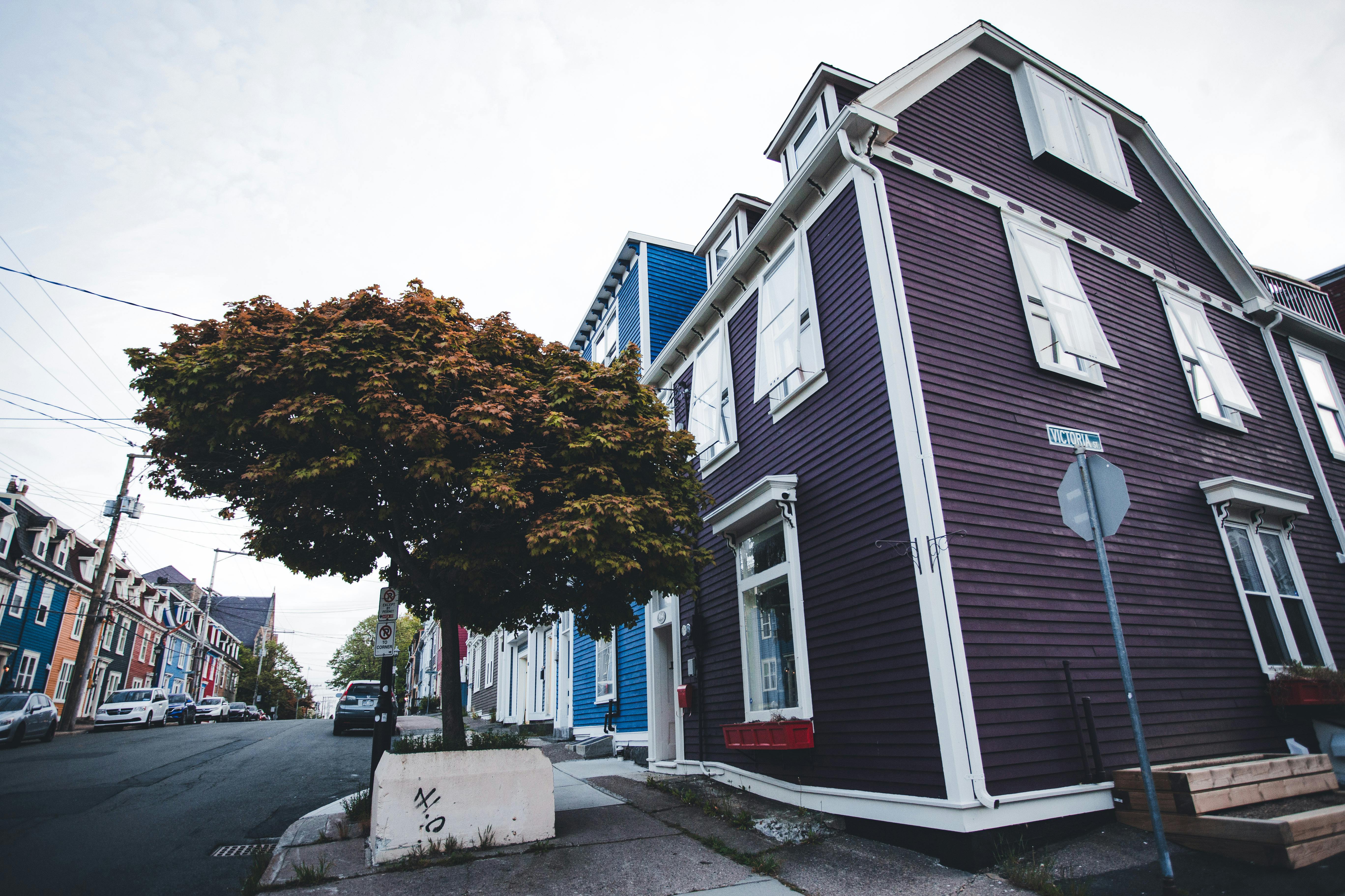 Houses in an Inclined Land · Free Stock Photo