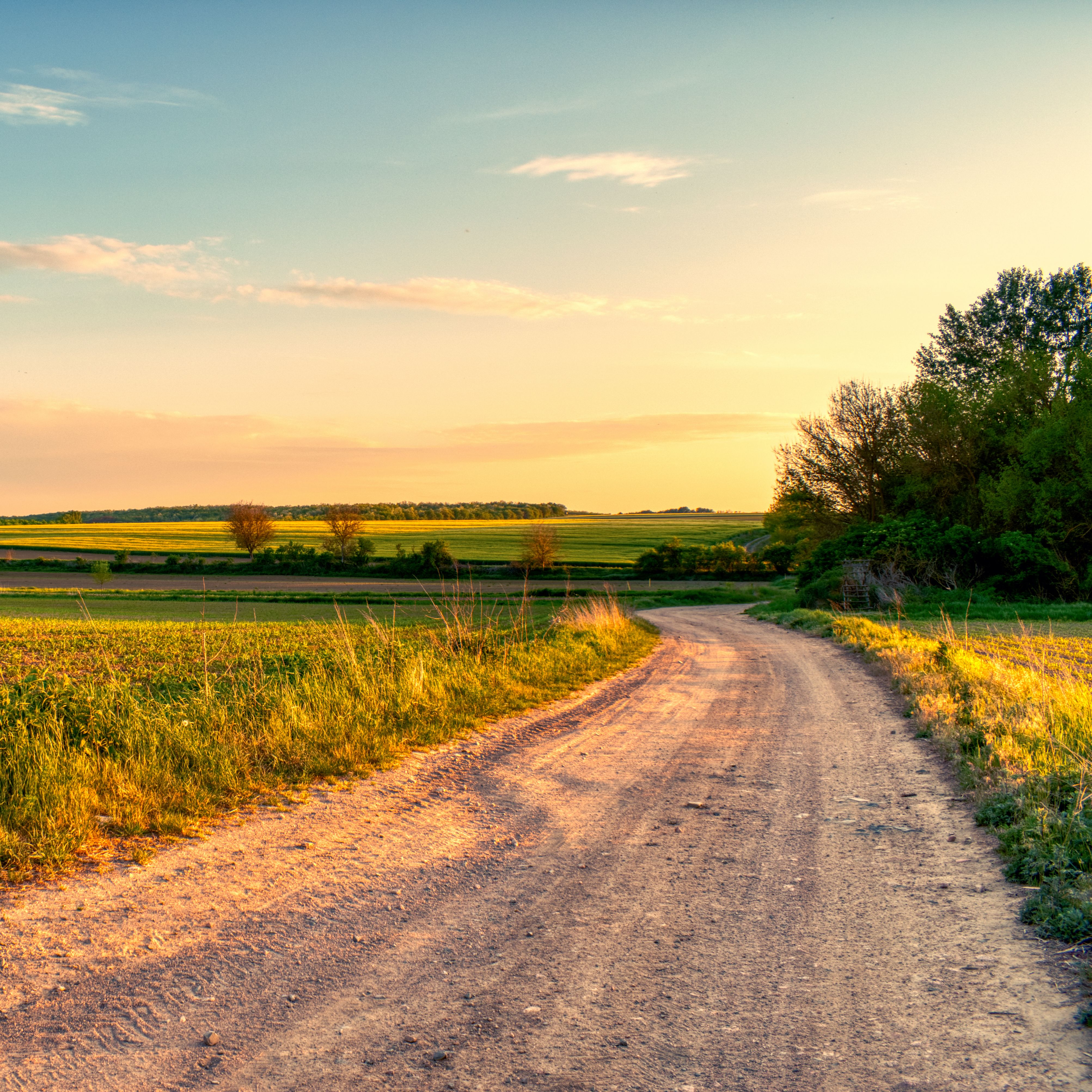 Empty Dirt Road During Sunset · Free Stock Photo