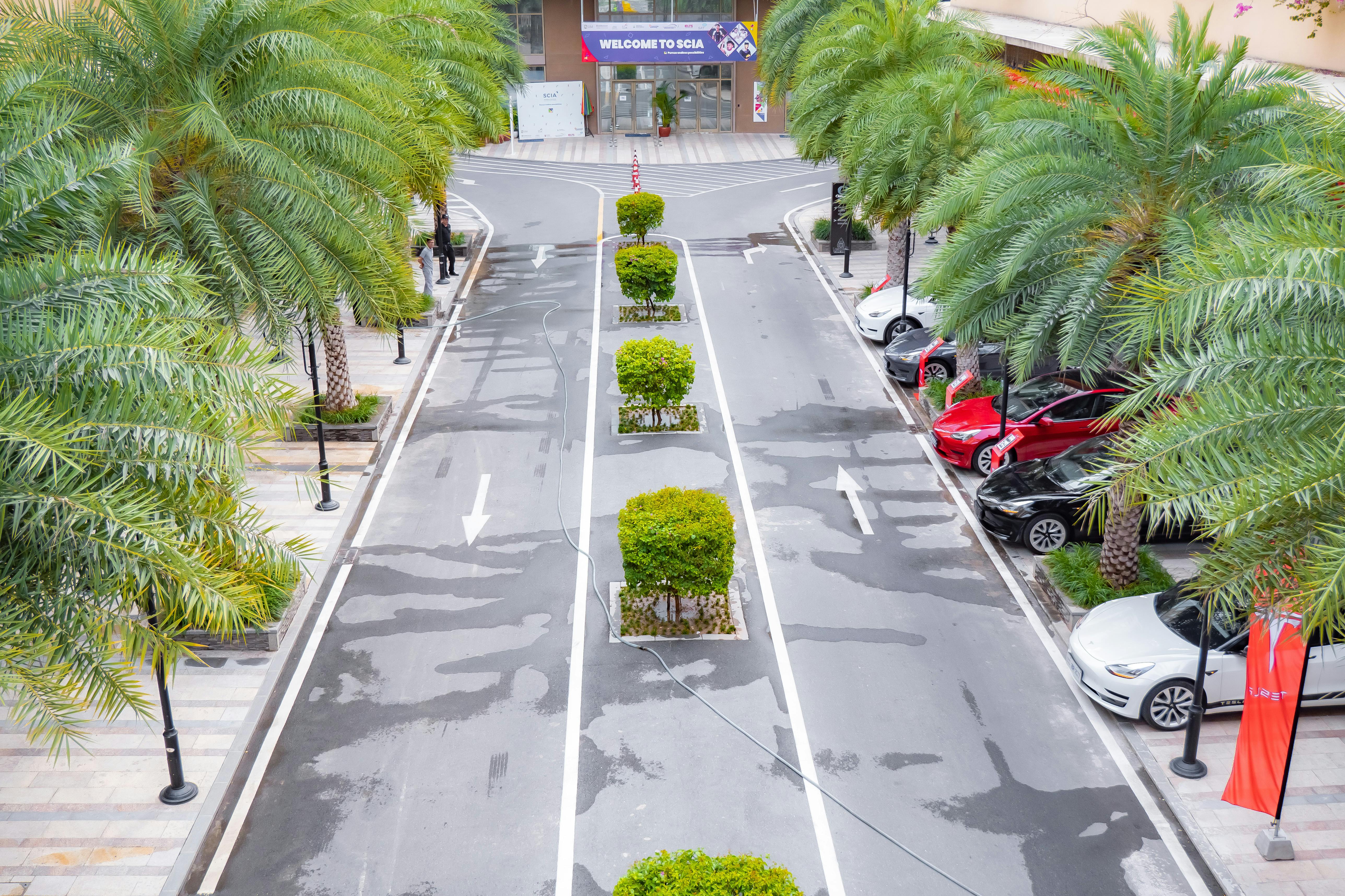 Cars Parked on the Side of the Road · Free Stock Photo