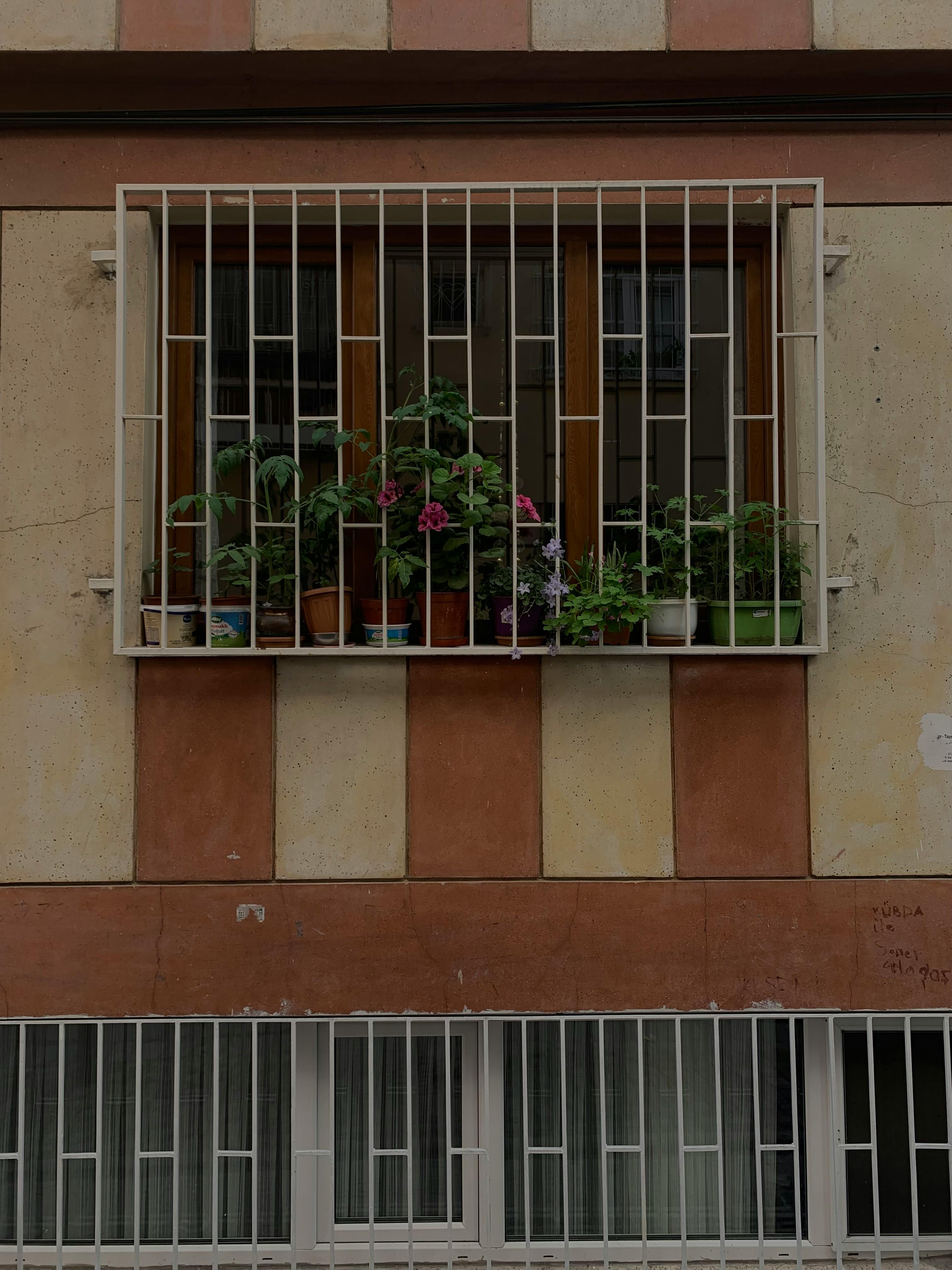 Photo of Windows with Grills · Free Stock Photo
