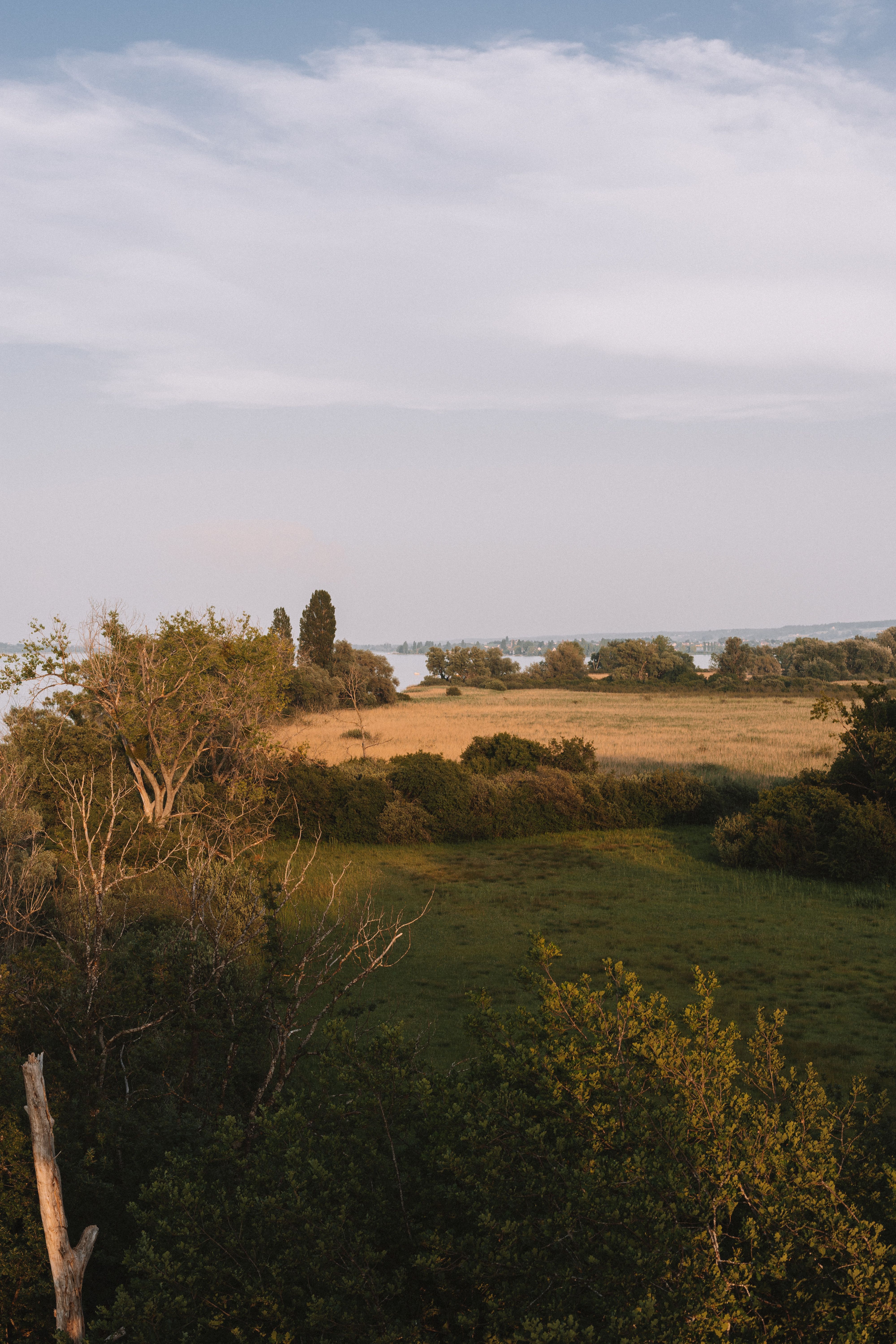 Landscape of Trees and Fields · Free Stock Photo