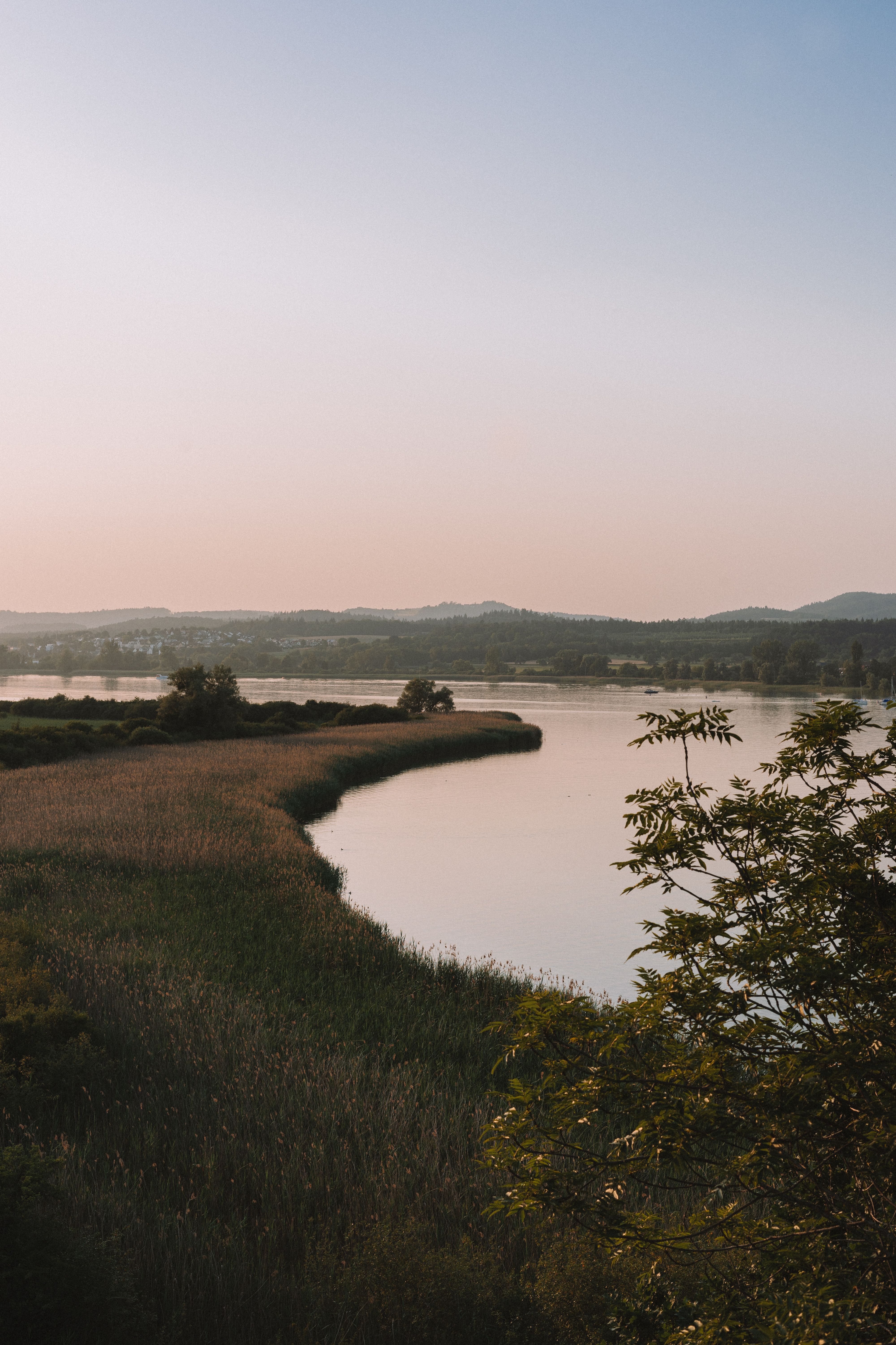 Flower Field Near the Lake · Free Stock Photo