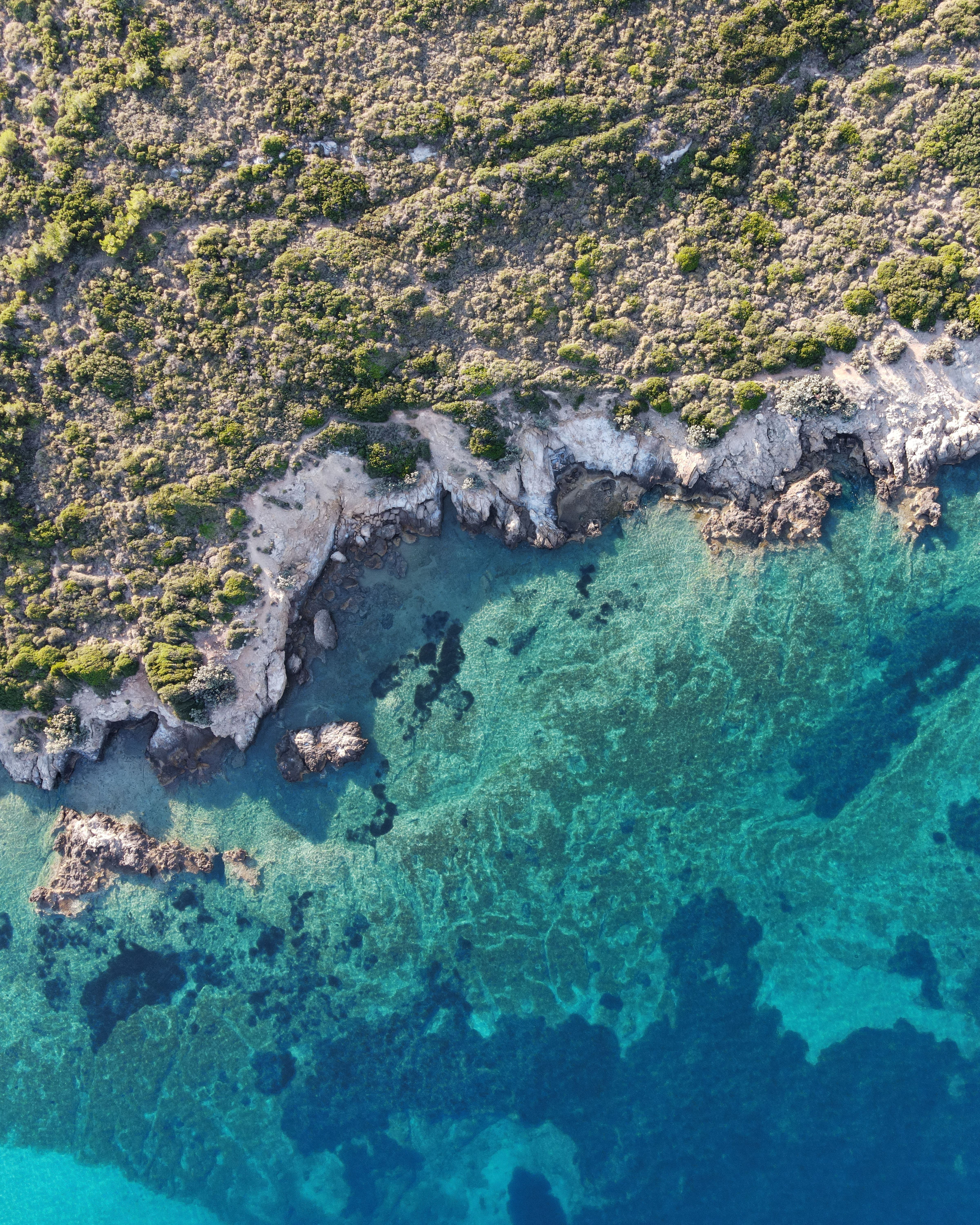 Islands on Sea Shore · Free Stock Photo
