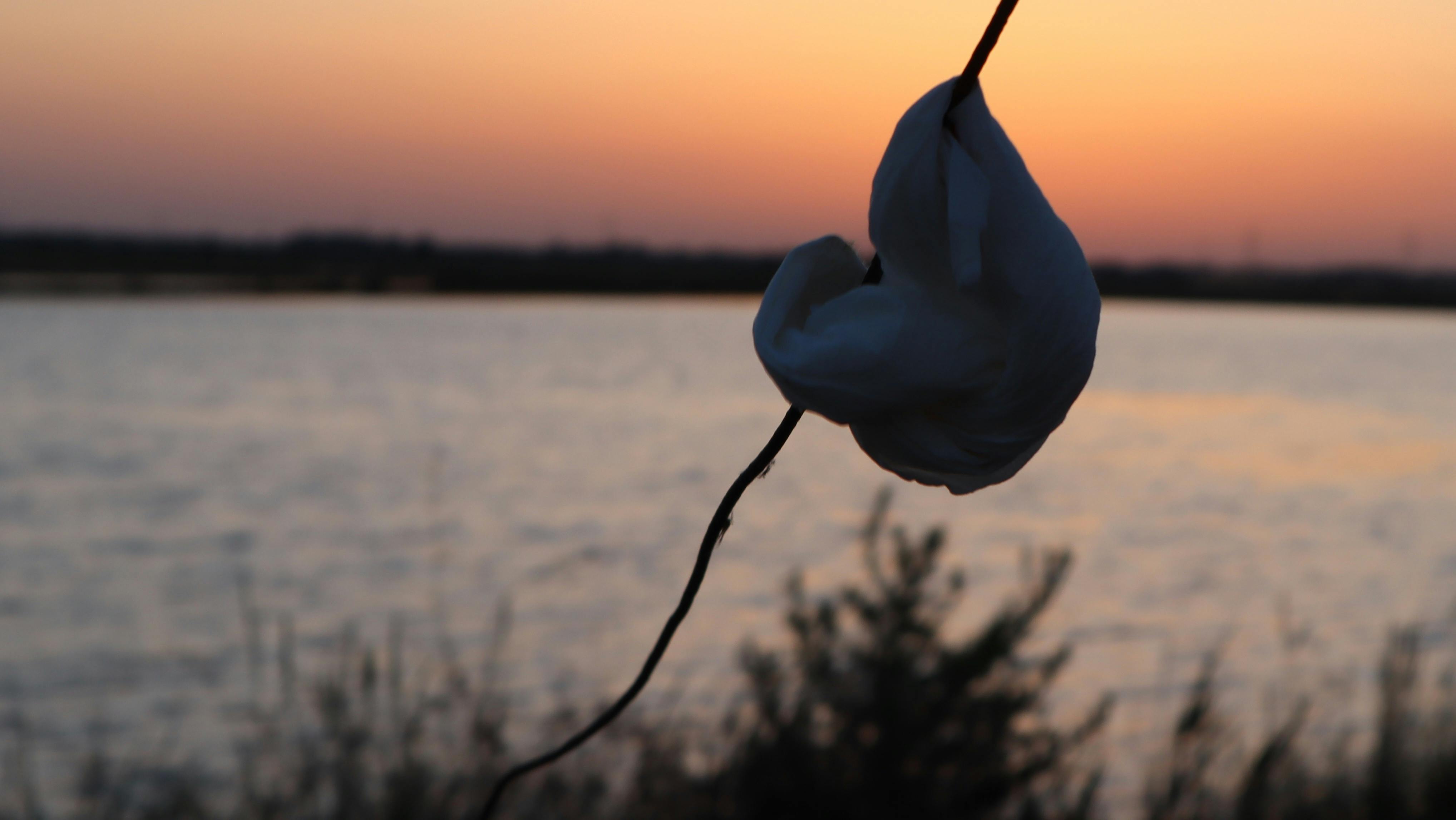 Nature 14 Photos & Videos Collected by Giulia