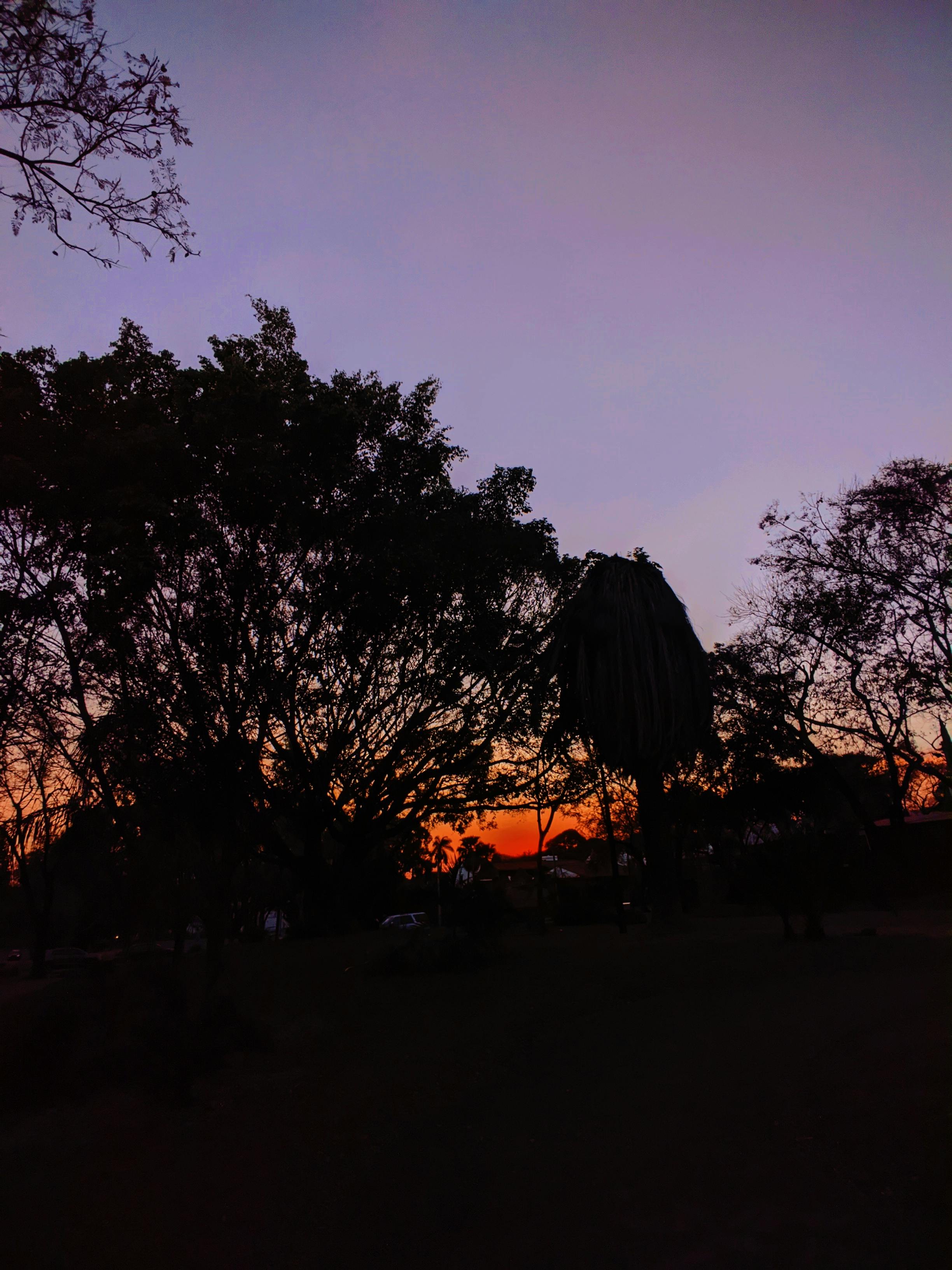 Daniel Portillo - Fotografía