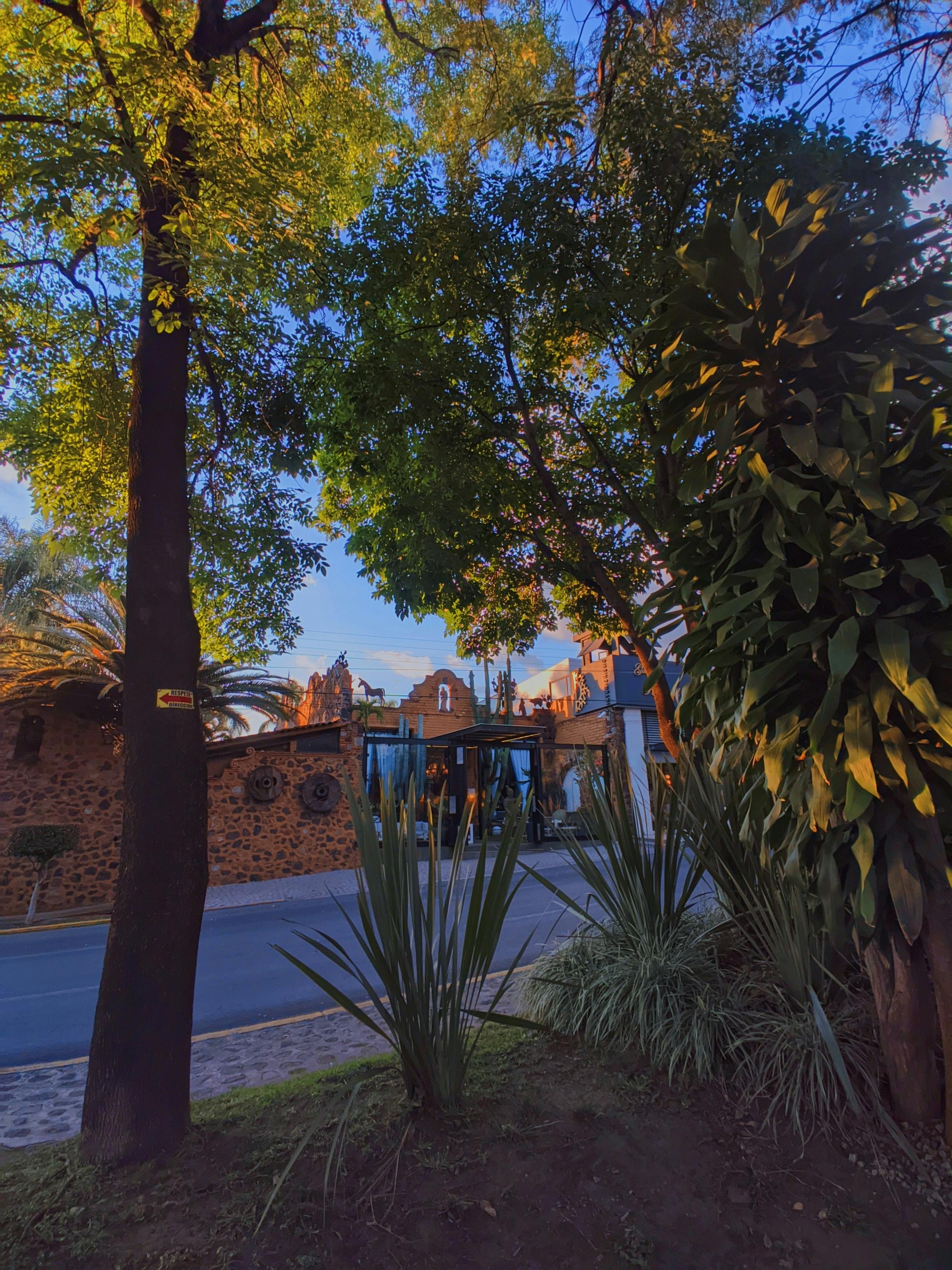 Daniel Portillo - Fotografía