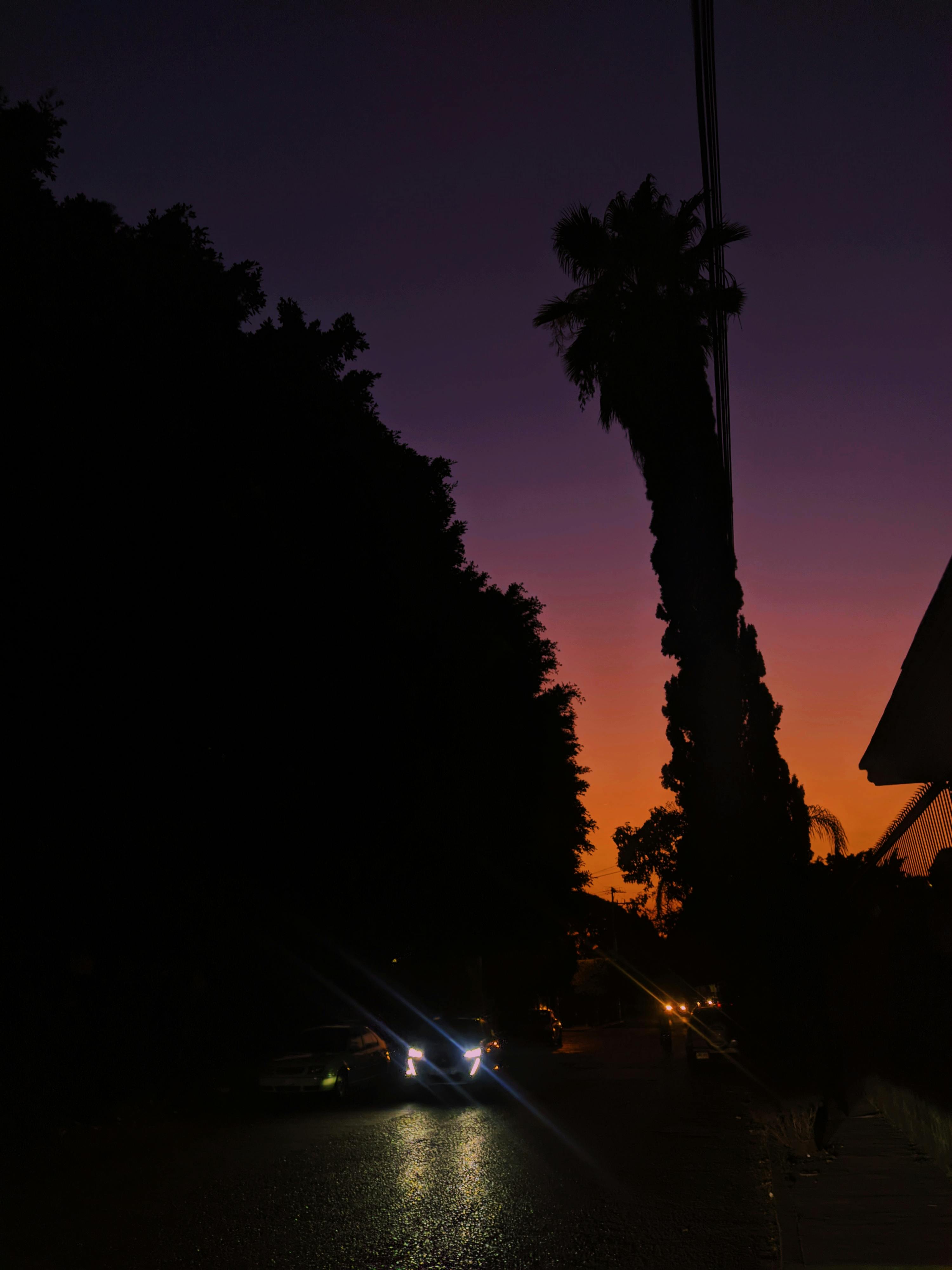 Daniel Portillo - 摄影