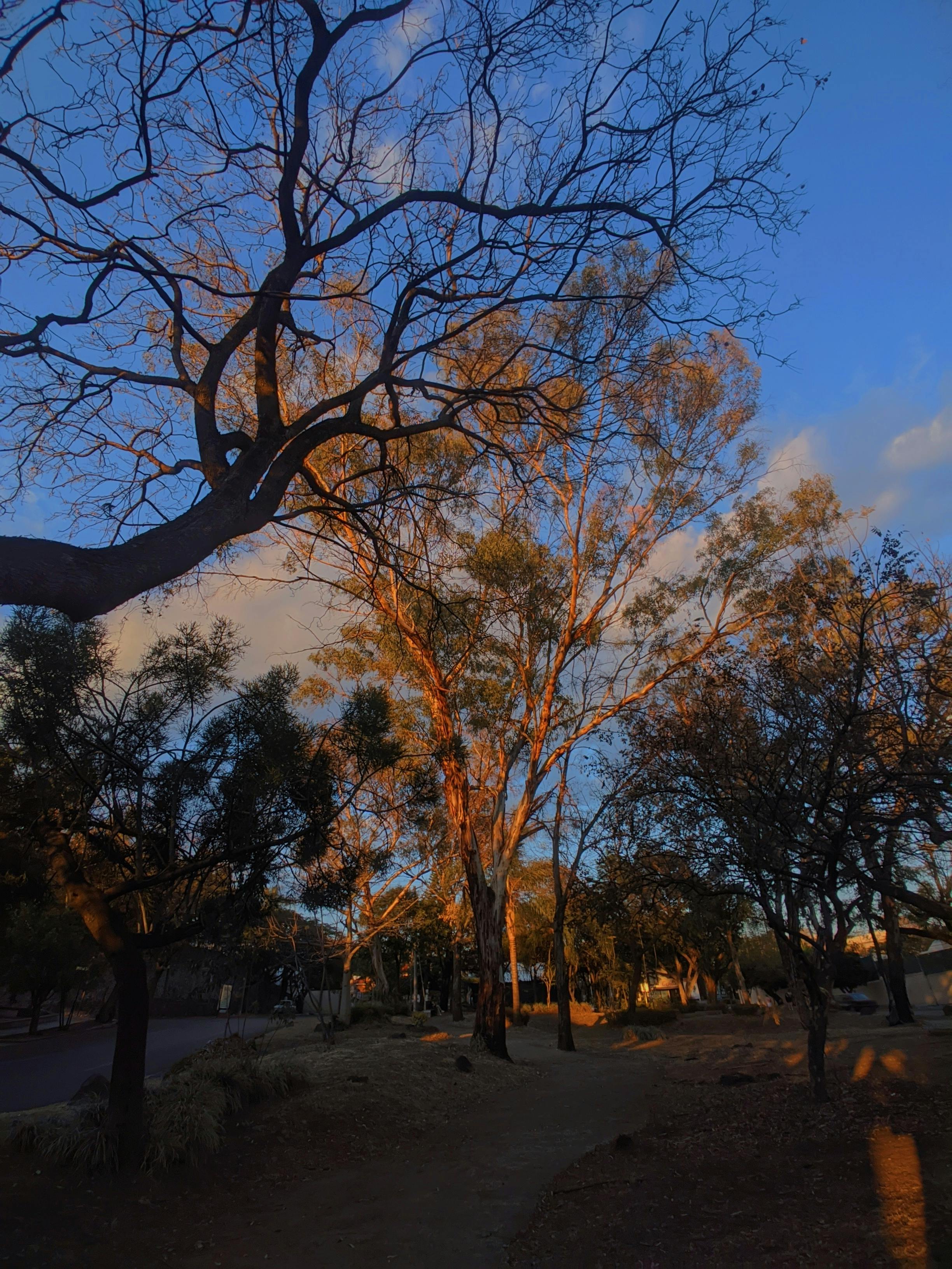 Daniel Portillo - 摄影