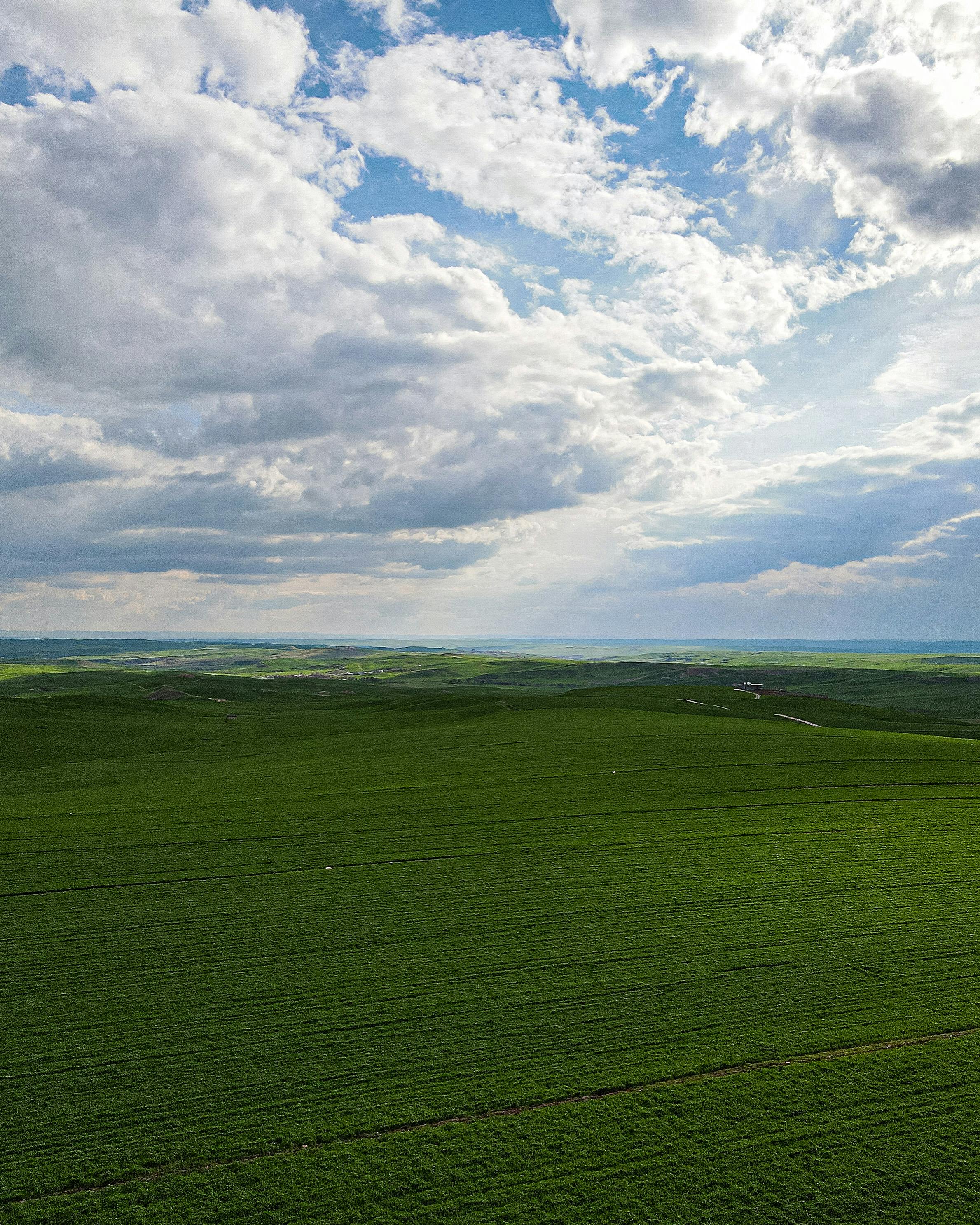Aerial View of Green Grass Field · Free Stock Photo