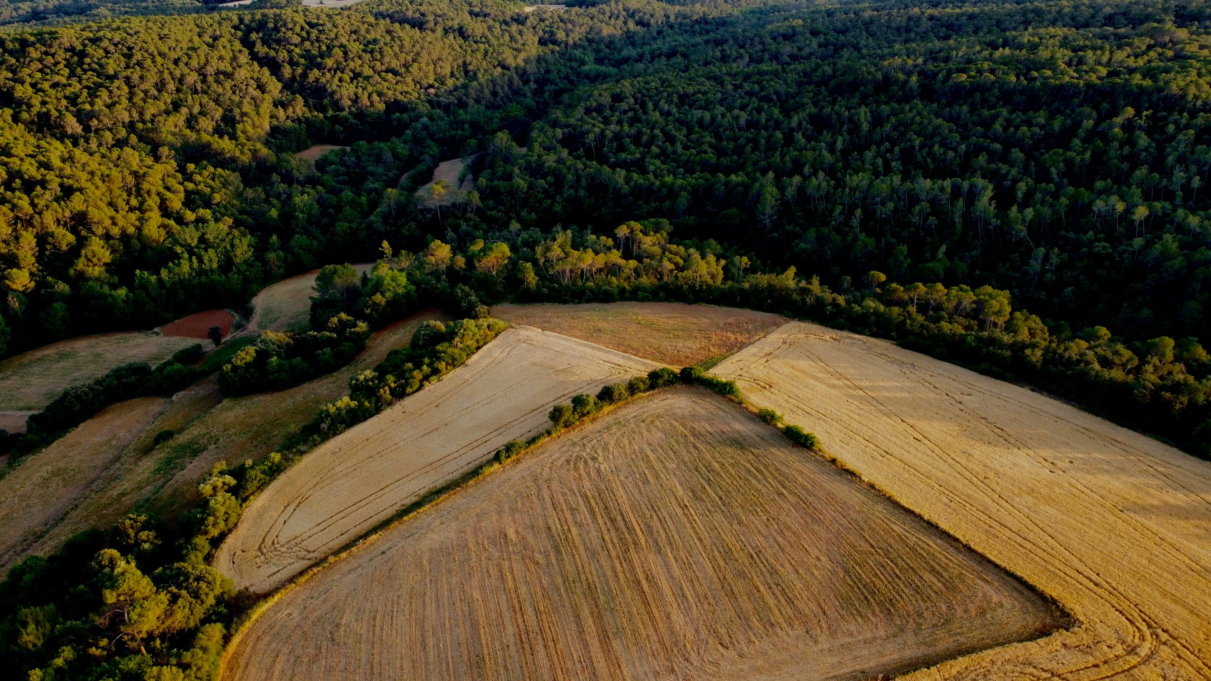 Aerial View of a Cropland · Free Stock Photo