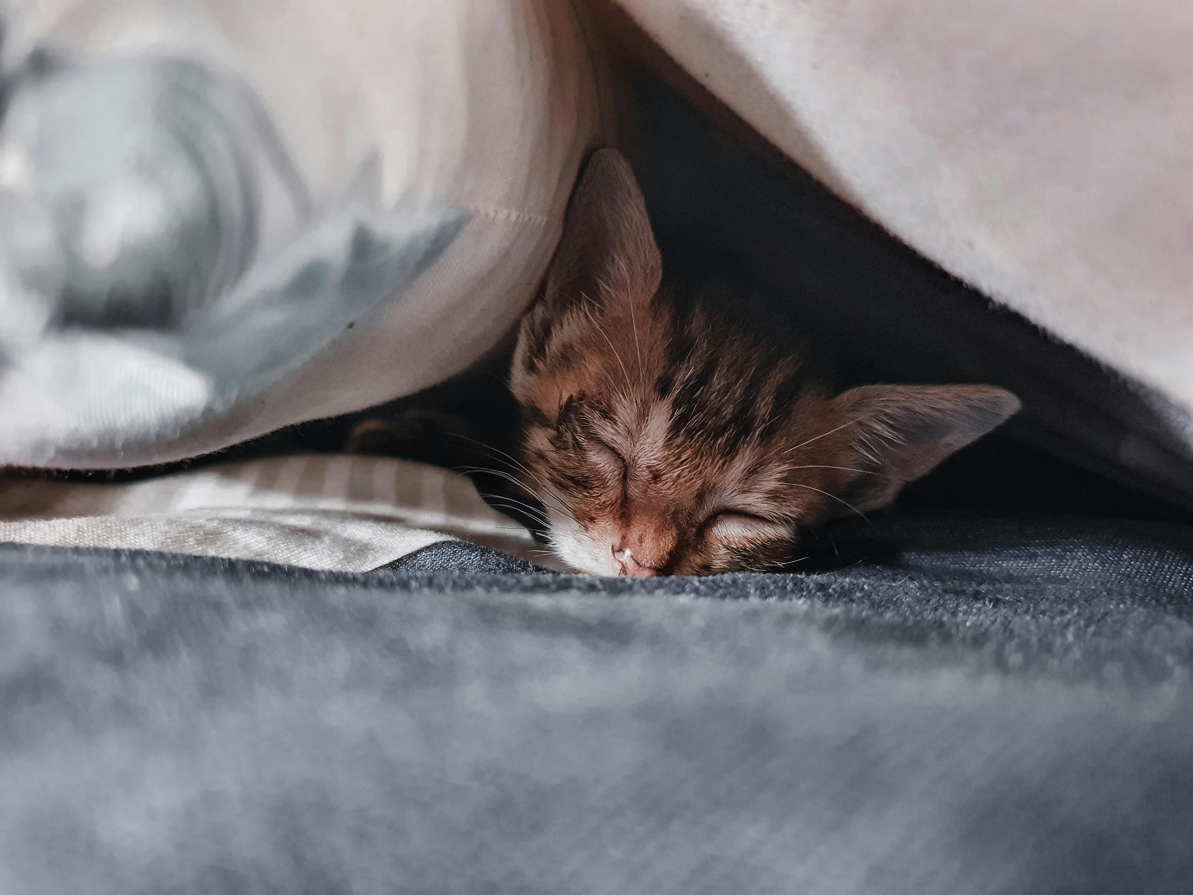 Amiel Joseph Labrador - Photography