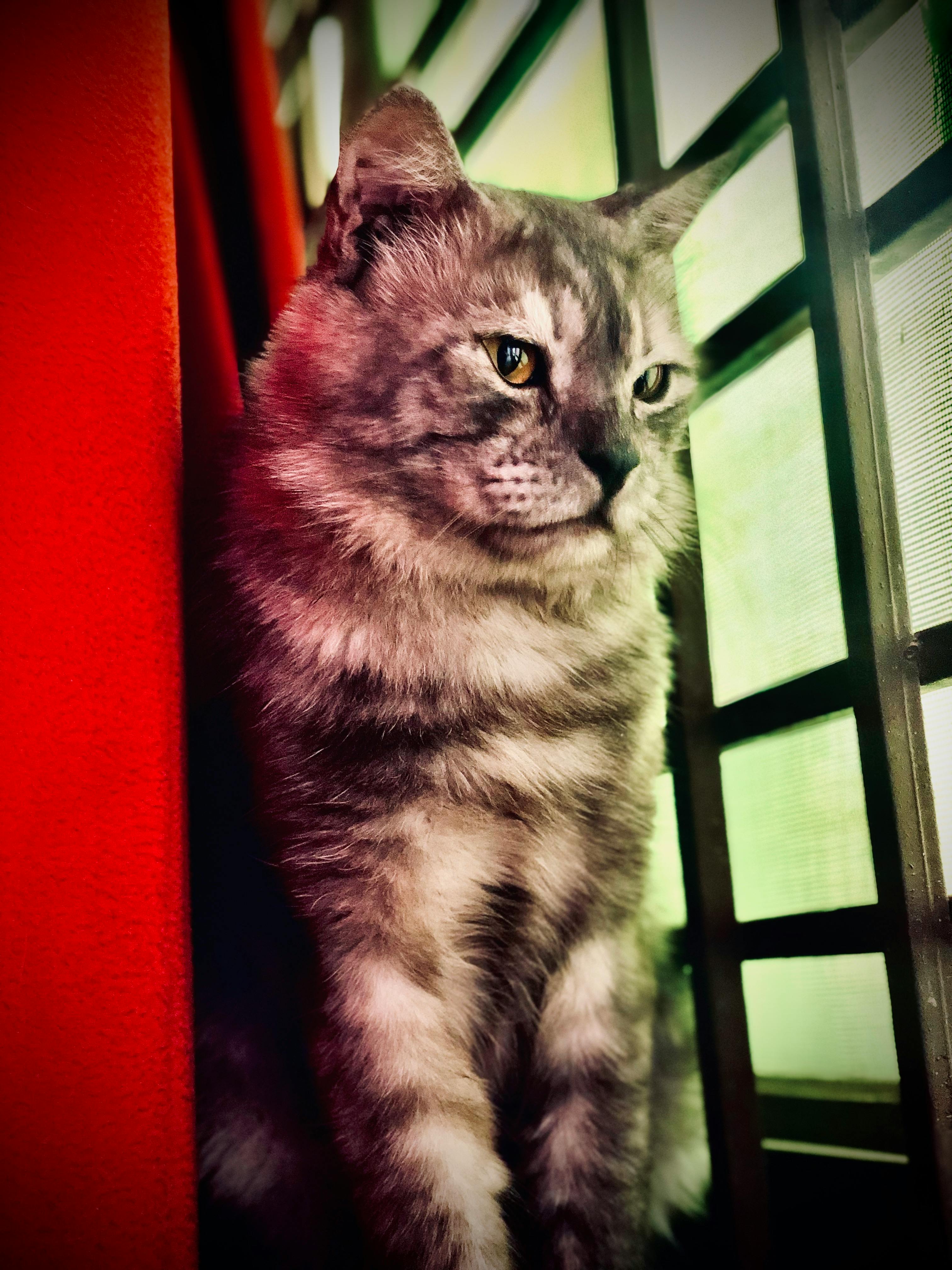 Talha Javed - Photography