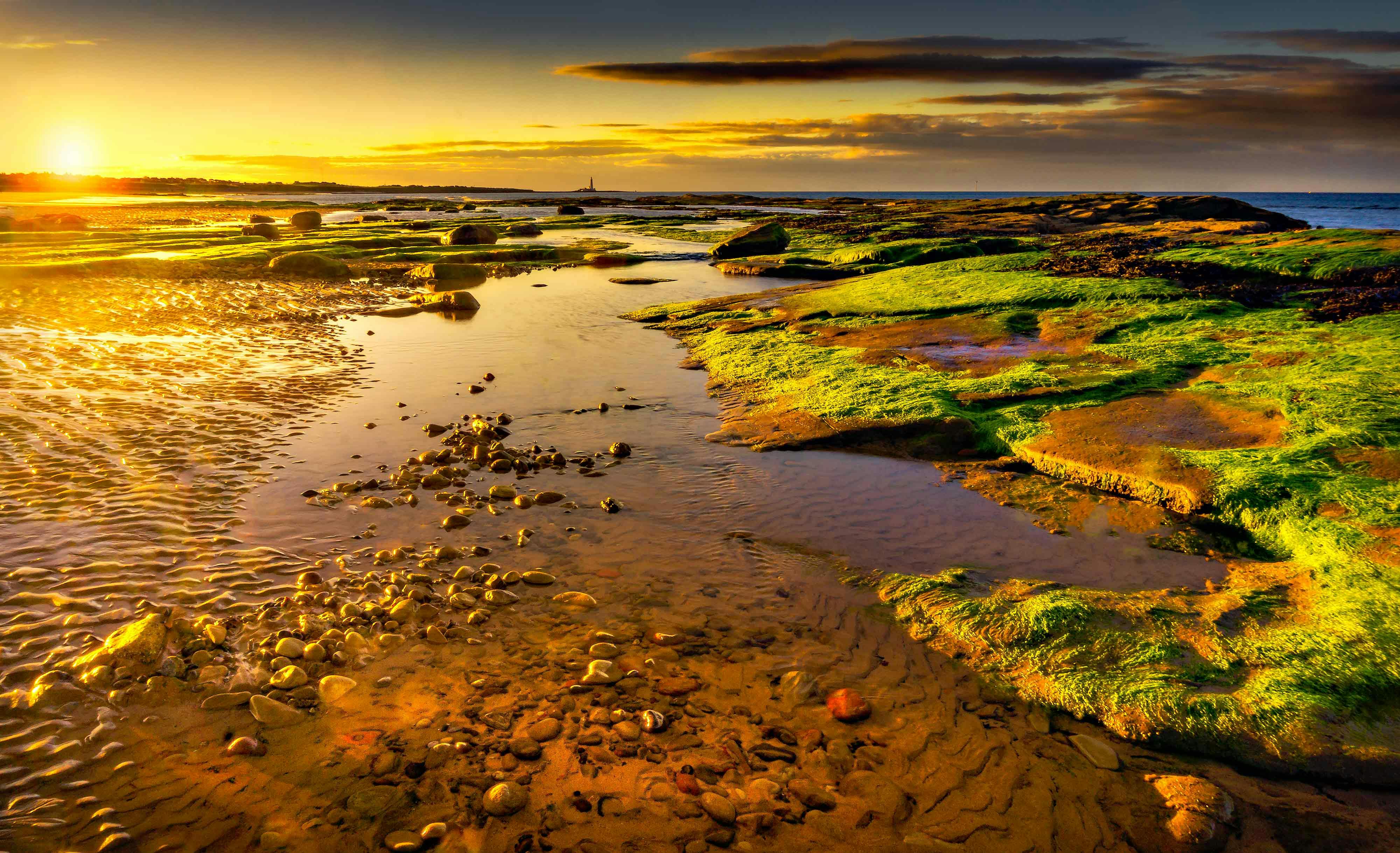 166,384+ Best Free Summer sun Stock Photos & Images · 100% Royalty-Free ...