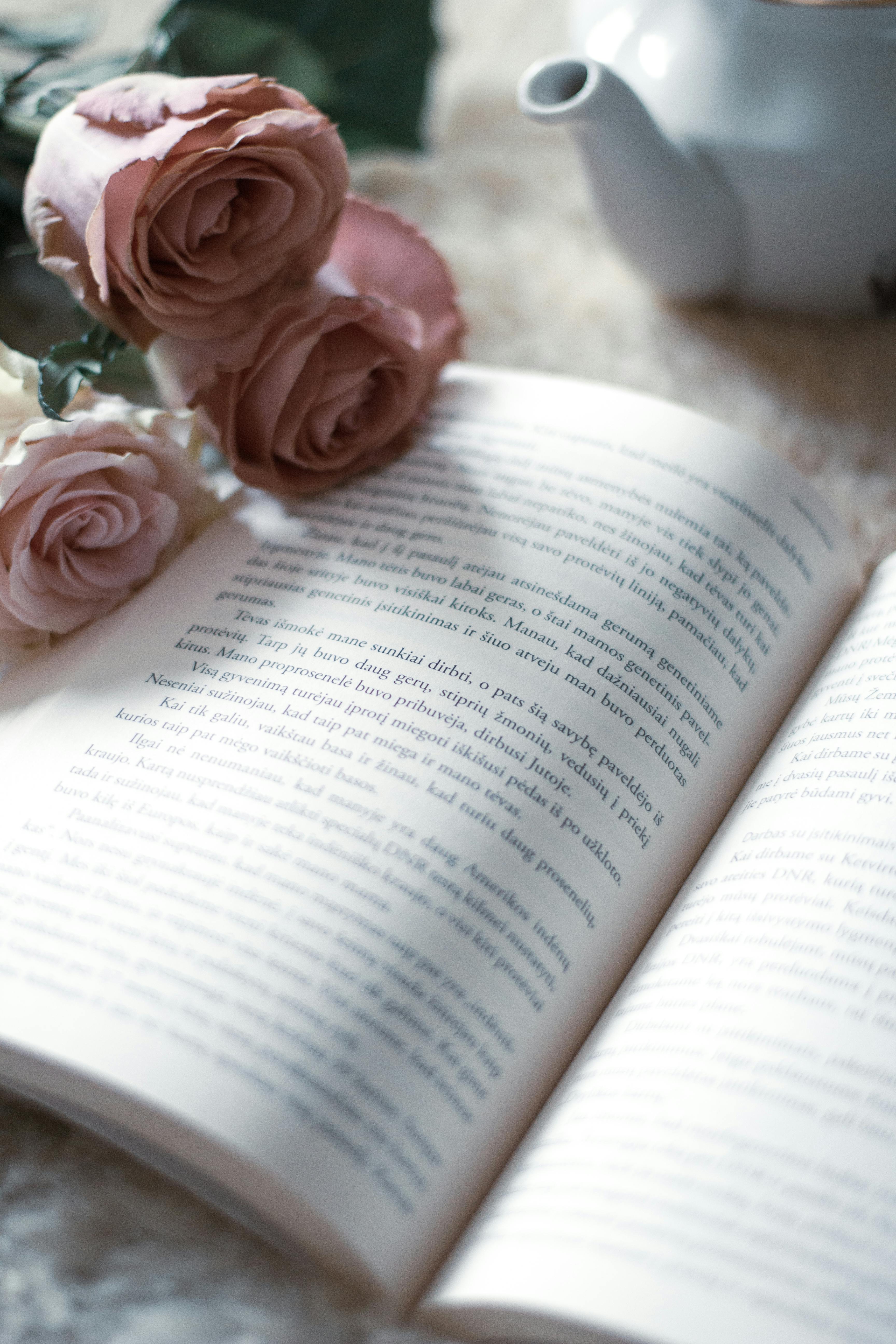 Close Up Shot of Open Book · Free Stock Photo