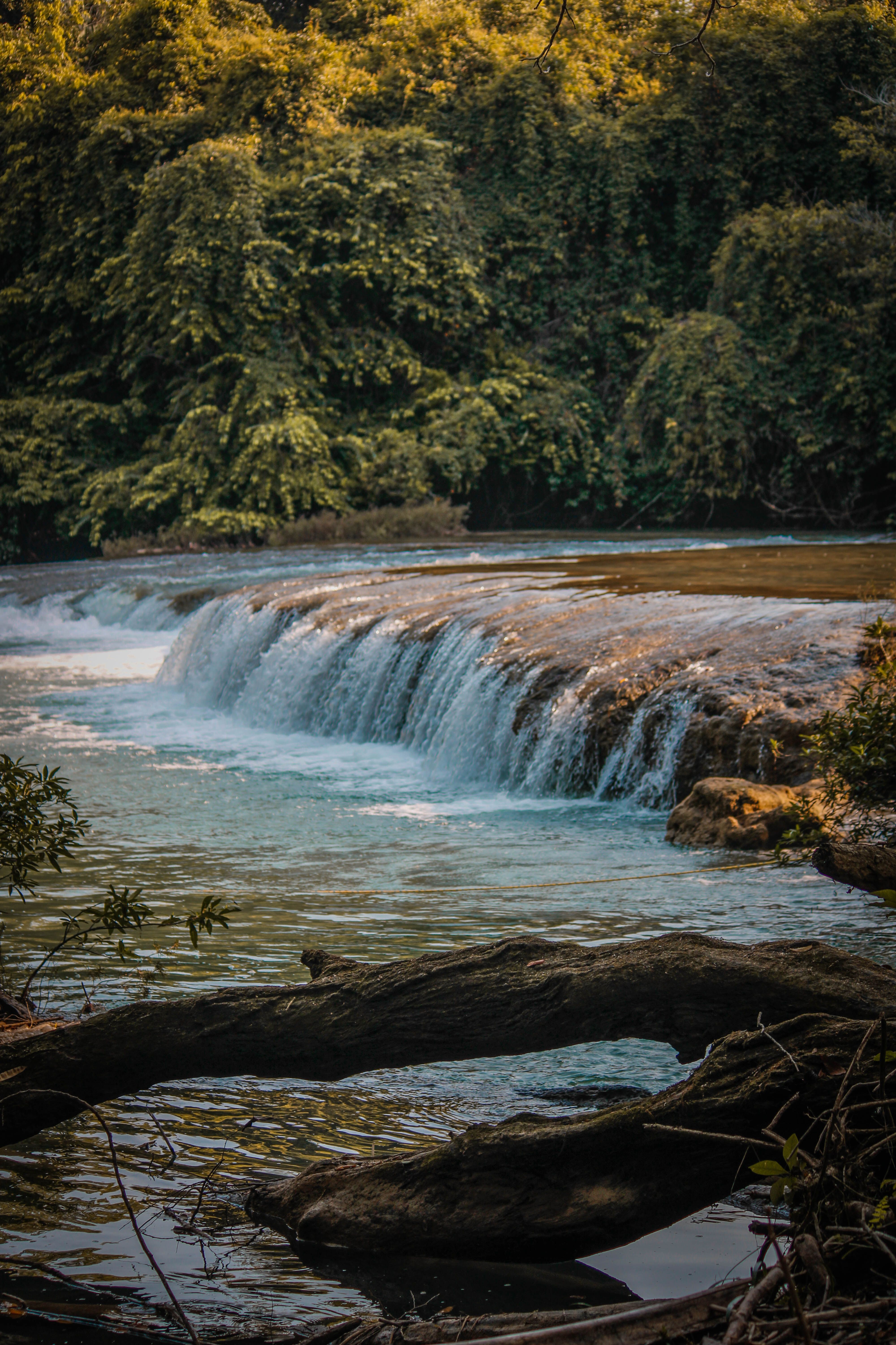 Water Flowing on the Stream · Free Stock Photo