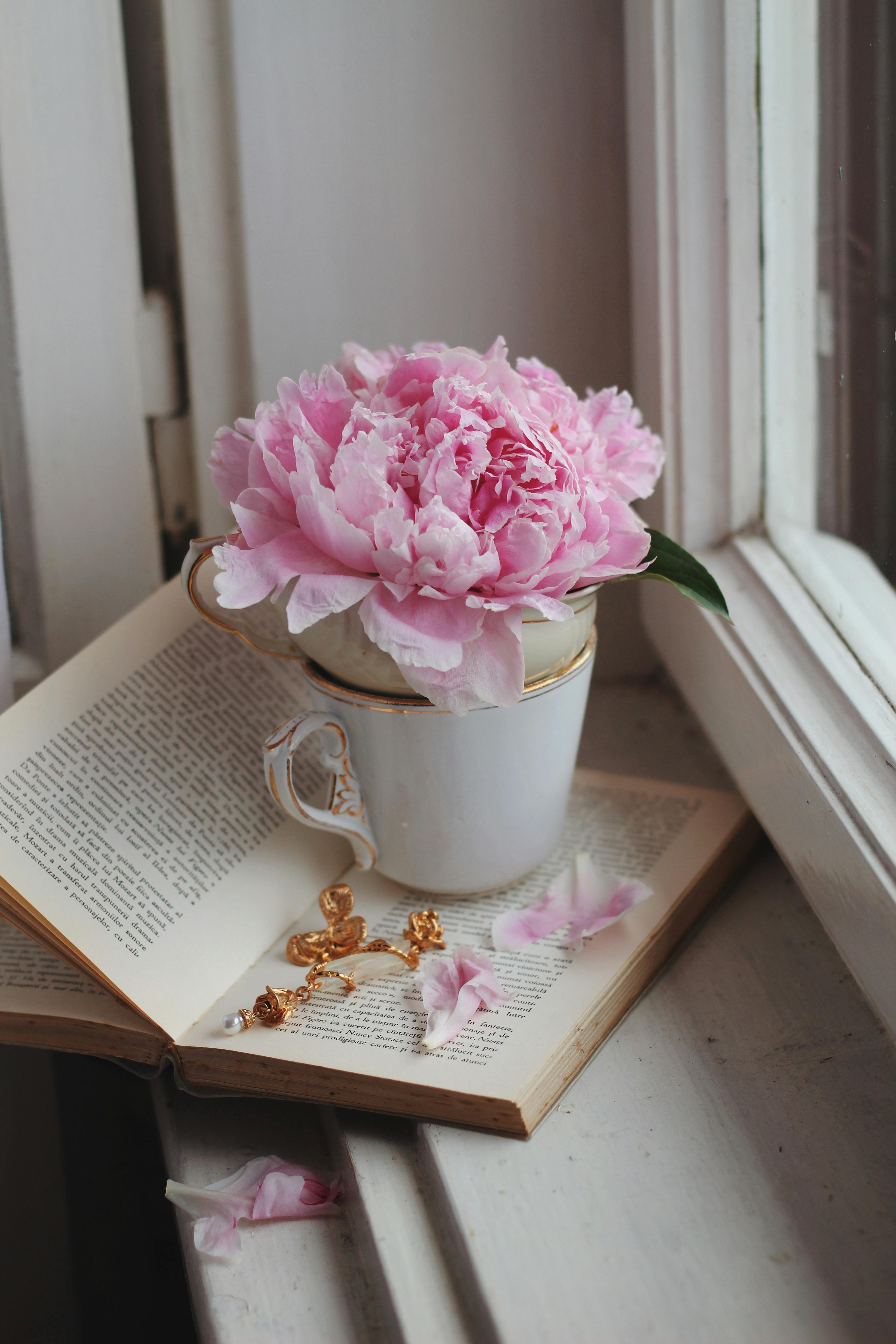 Pink Flowers on Book Page · Free Stock Photo