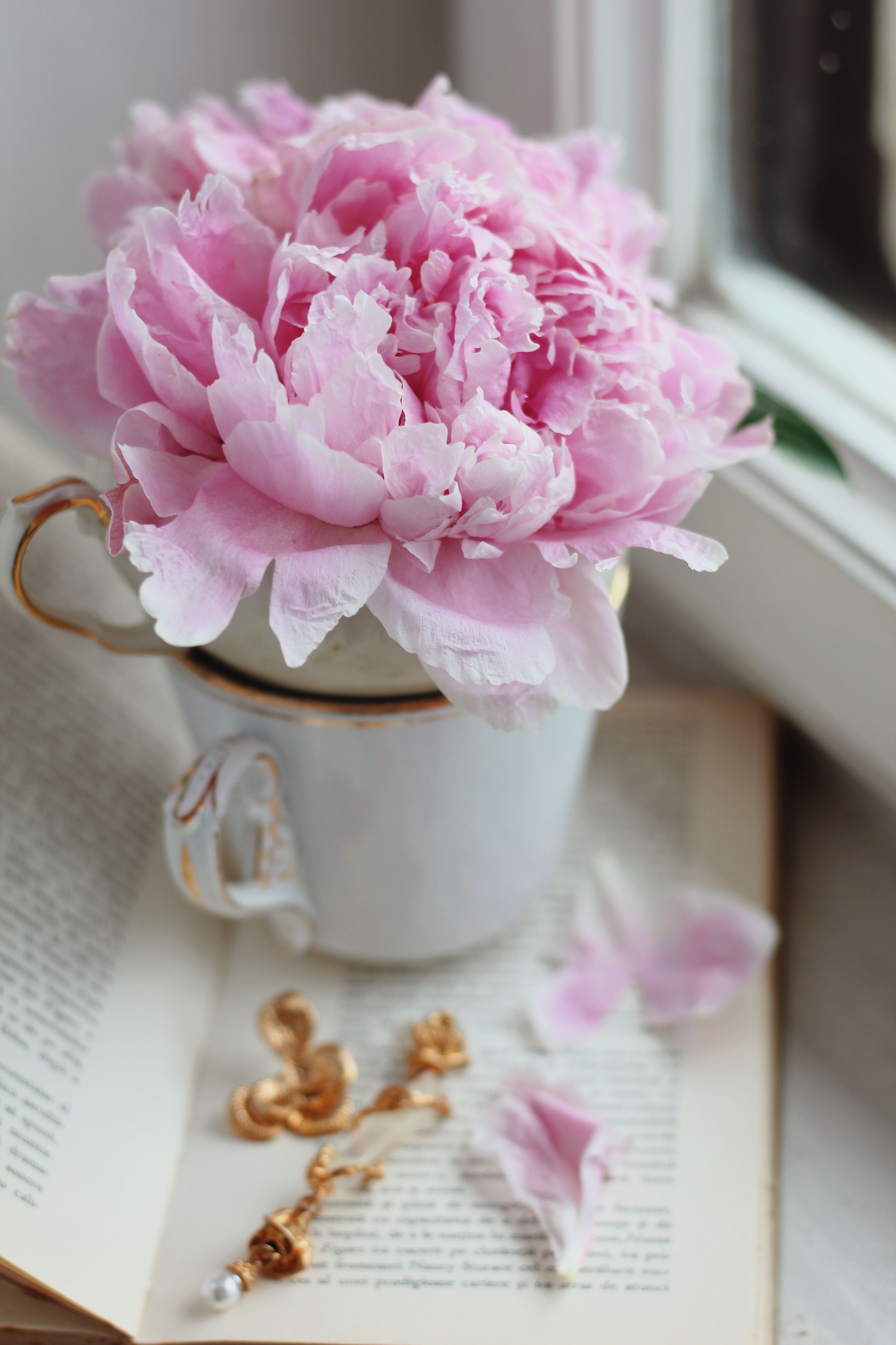 Pink Flowers on Book Page · Free Stock Photo
