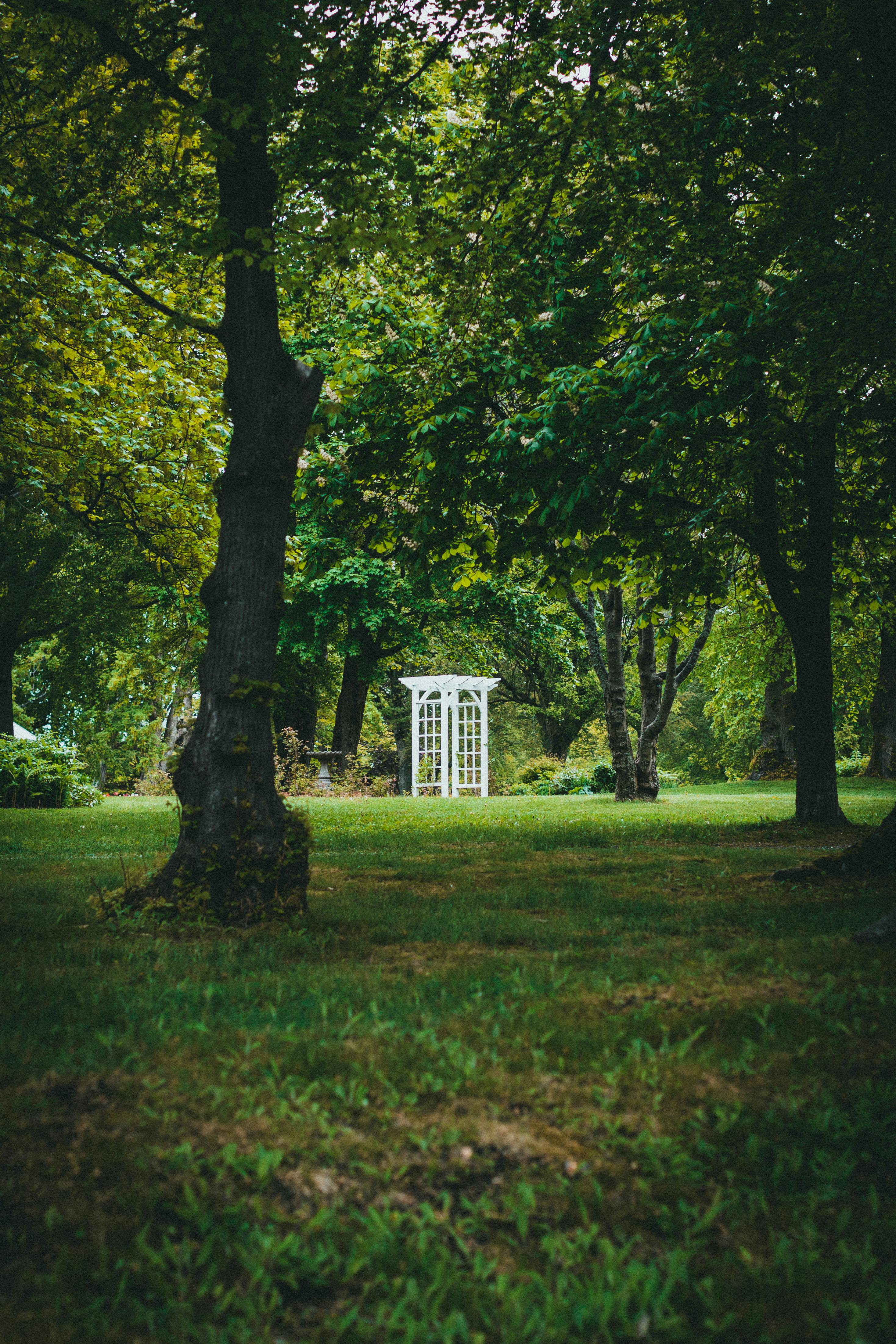 Trees and Bower in Park · Free Stock Photo