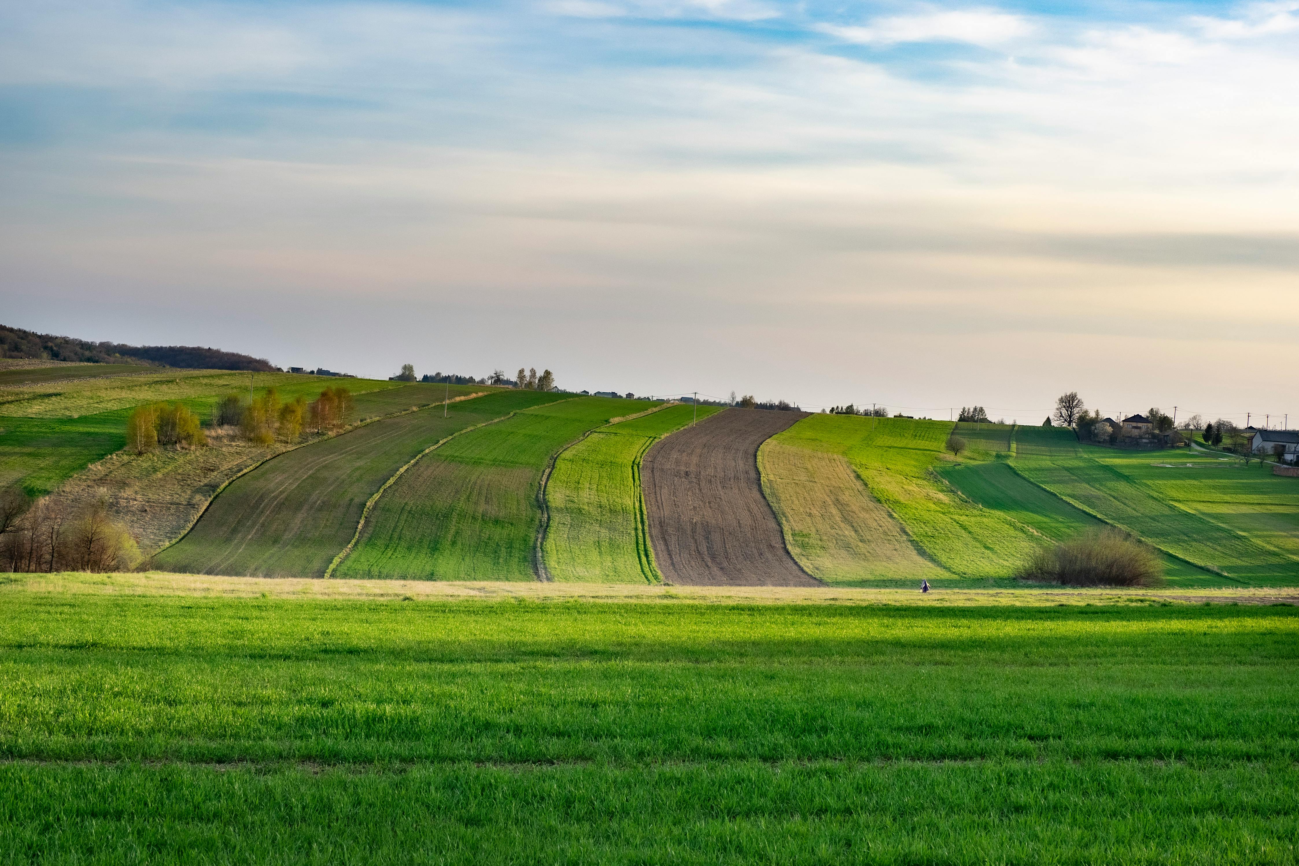 Landscape of an Agricultural Field · Free Stock Photo