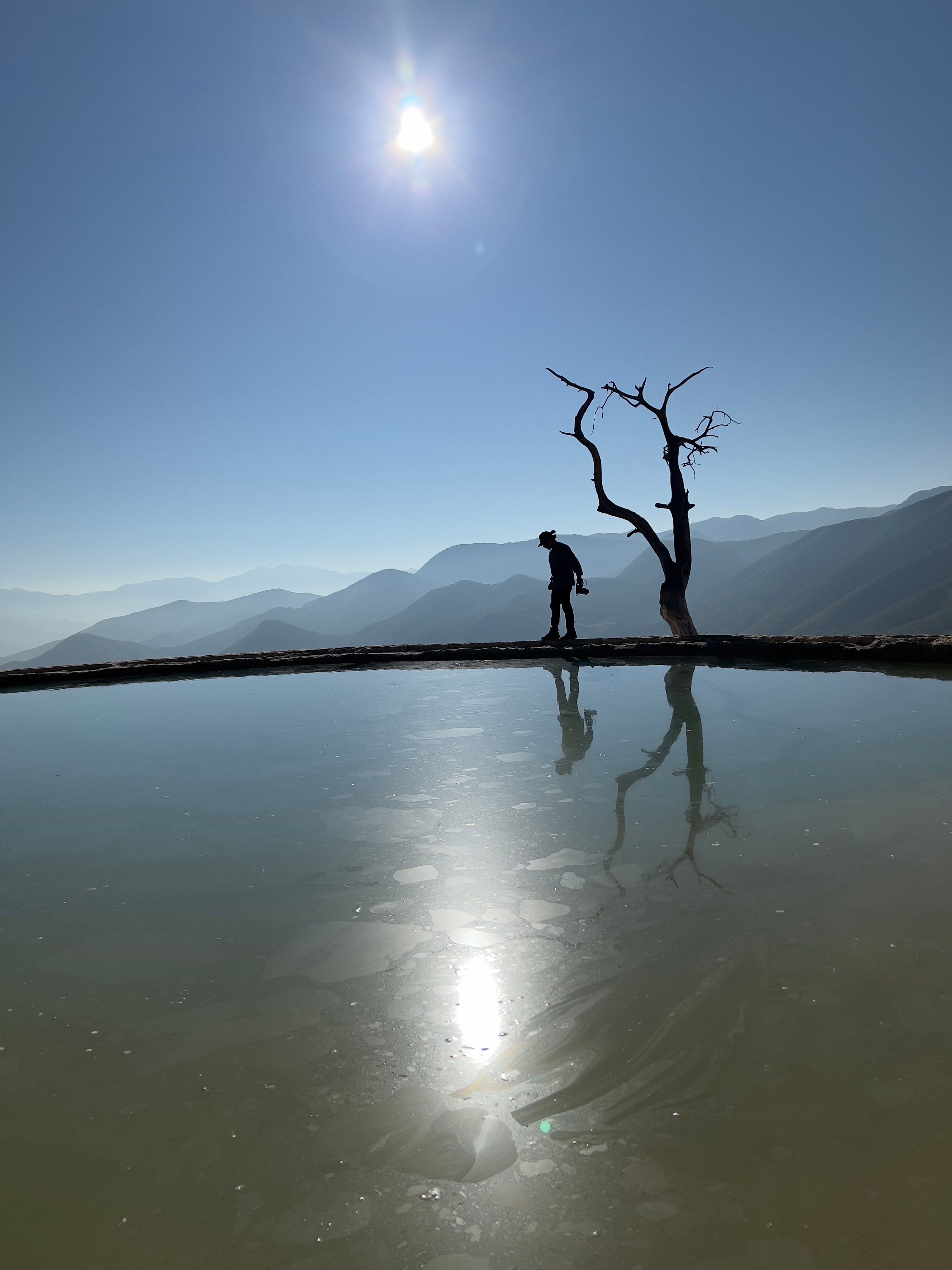 Silhouette of a Man Standing Near a Tree · Free Stock Photo