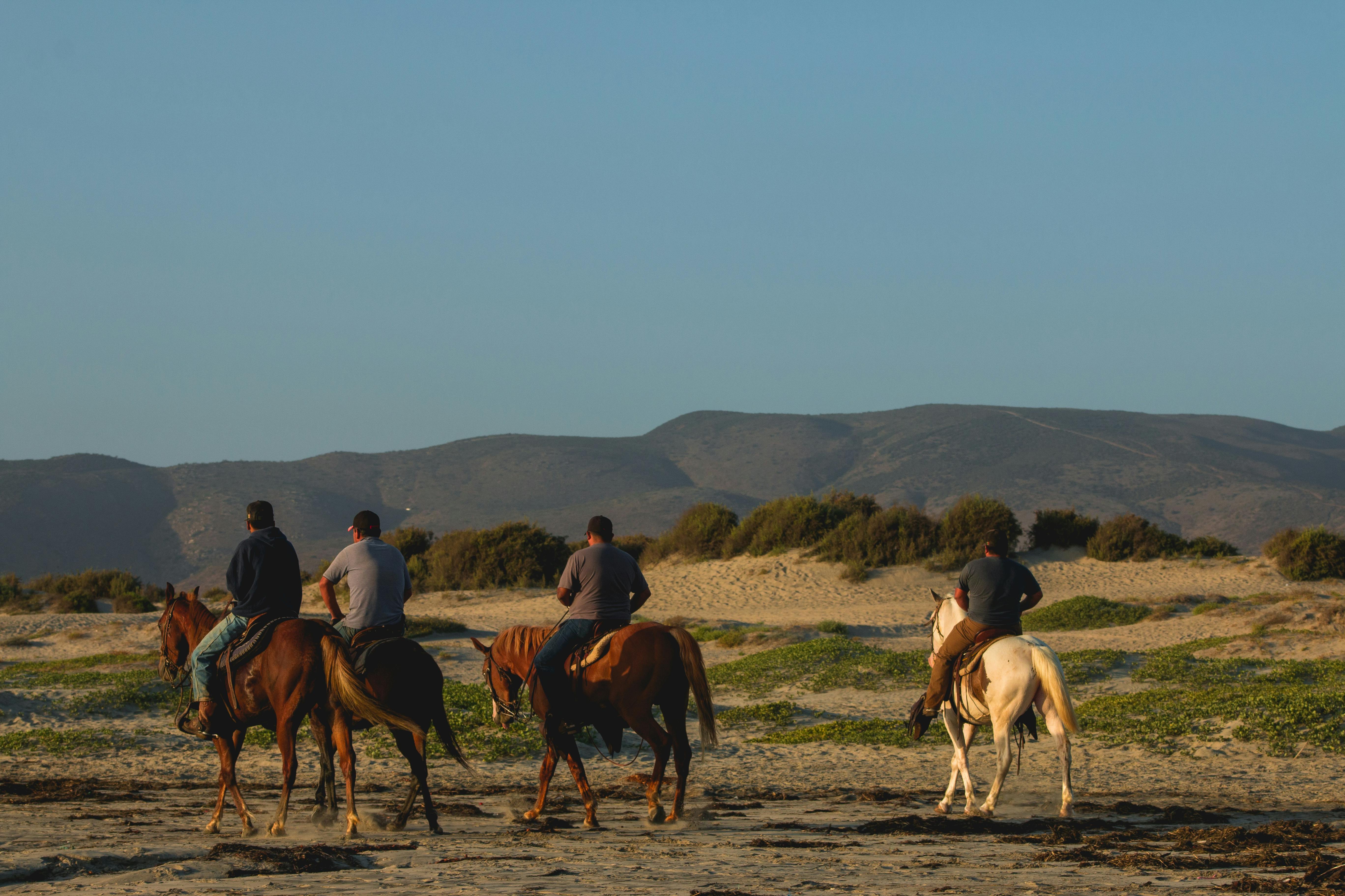 Photo of a Landscape with Horse Riders · Free Stock Photo