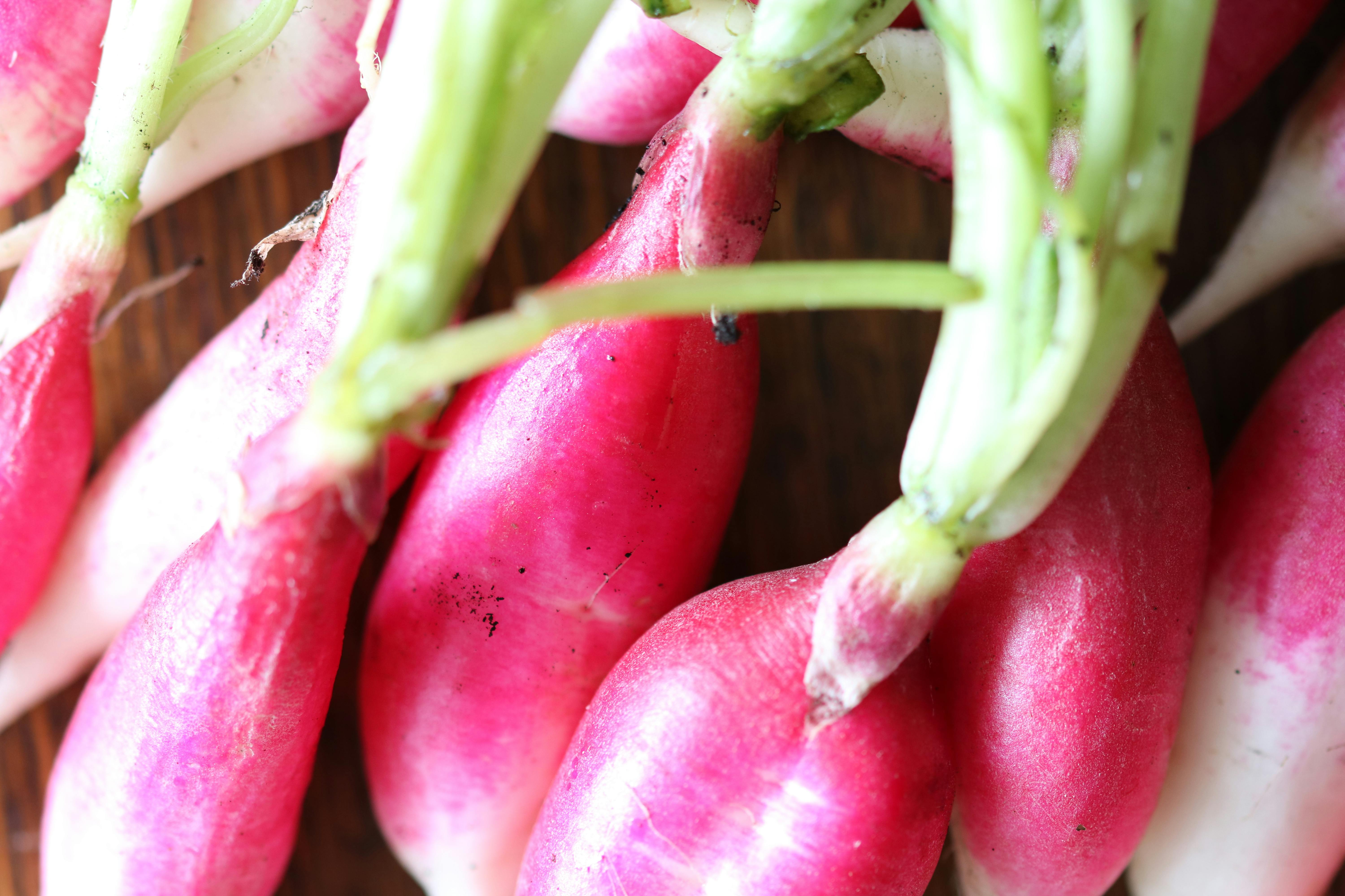 Abstract Painting · Free Stock Photo