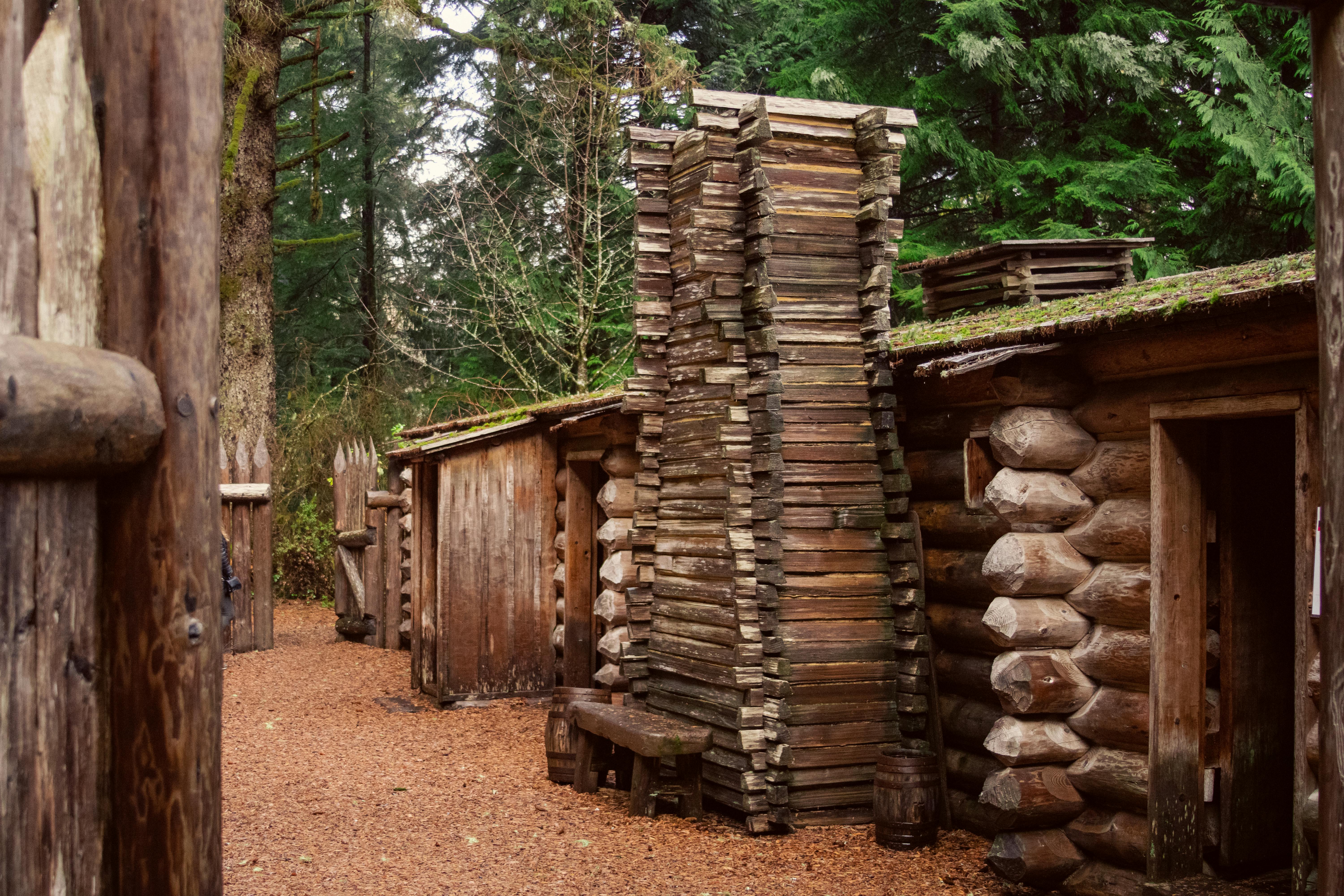 Wooden Huts in Forest · Free Stock Photo
