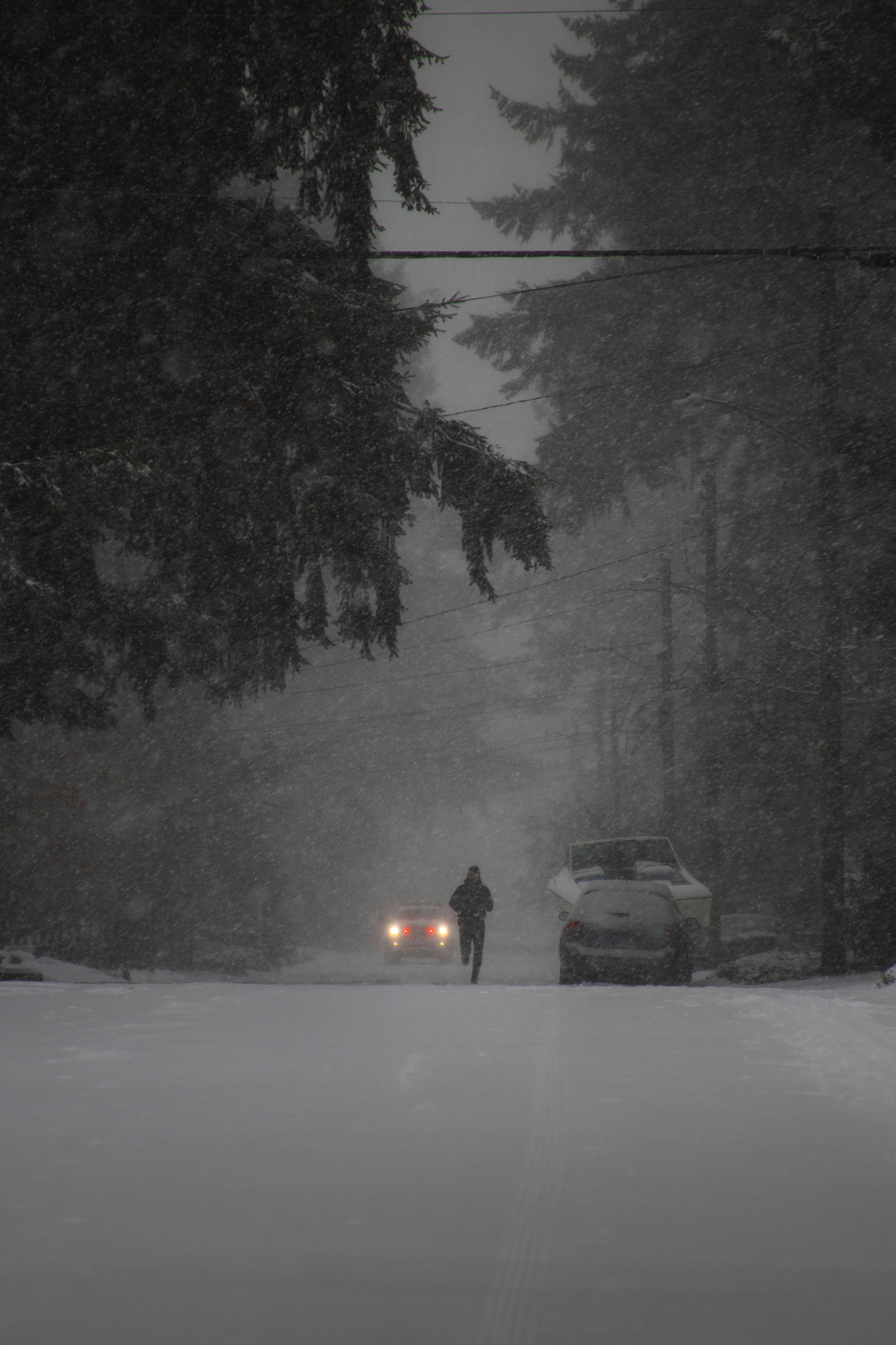 Person Running on Snowy Road Between Trees · Free Stock Photo