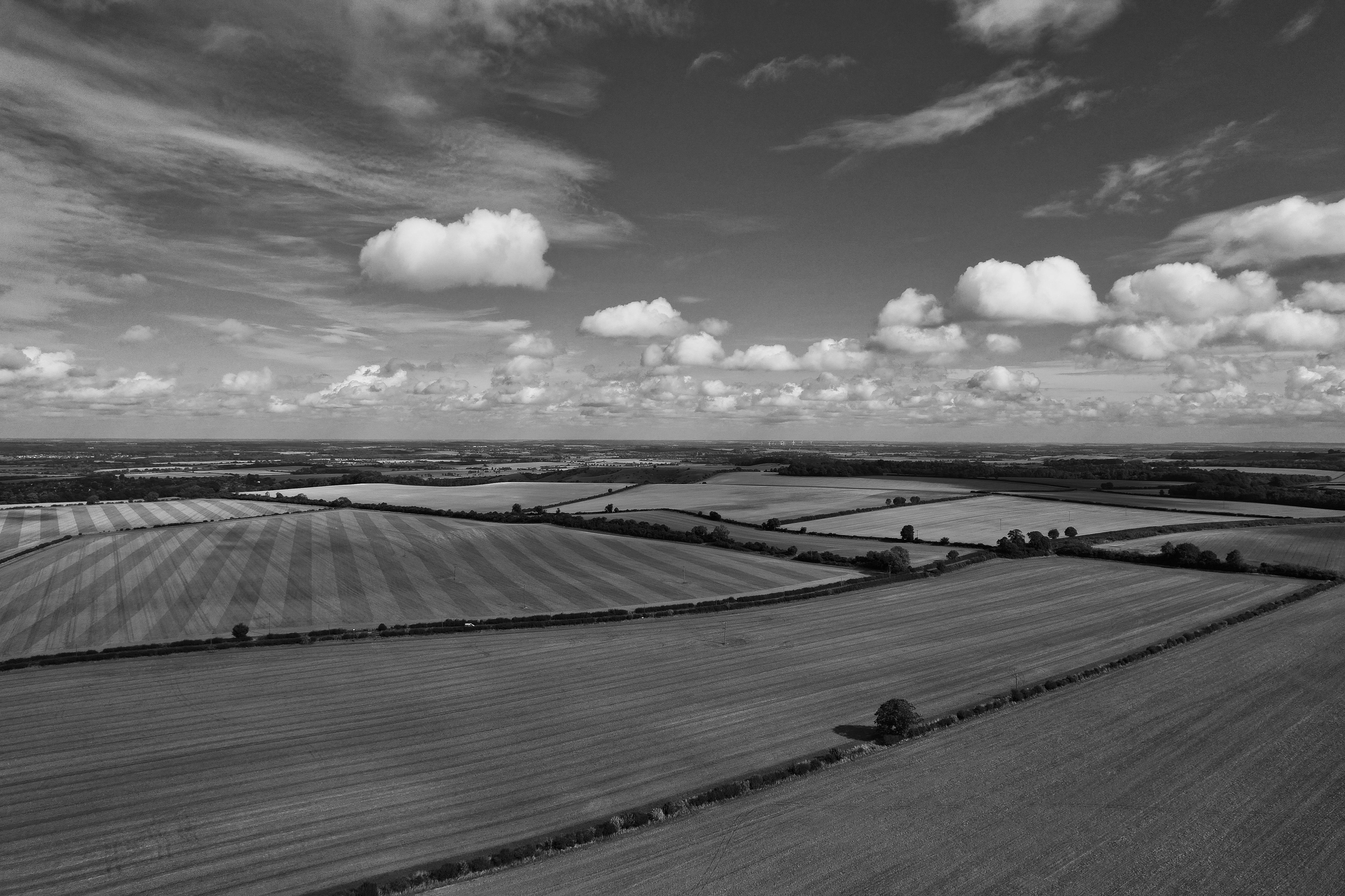 Black and White Landscape with Fields · Free Stock Photo