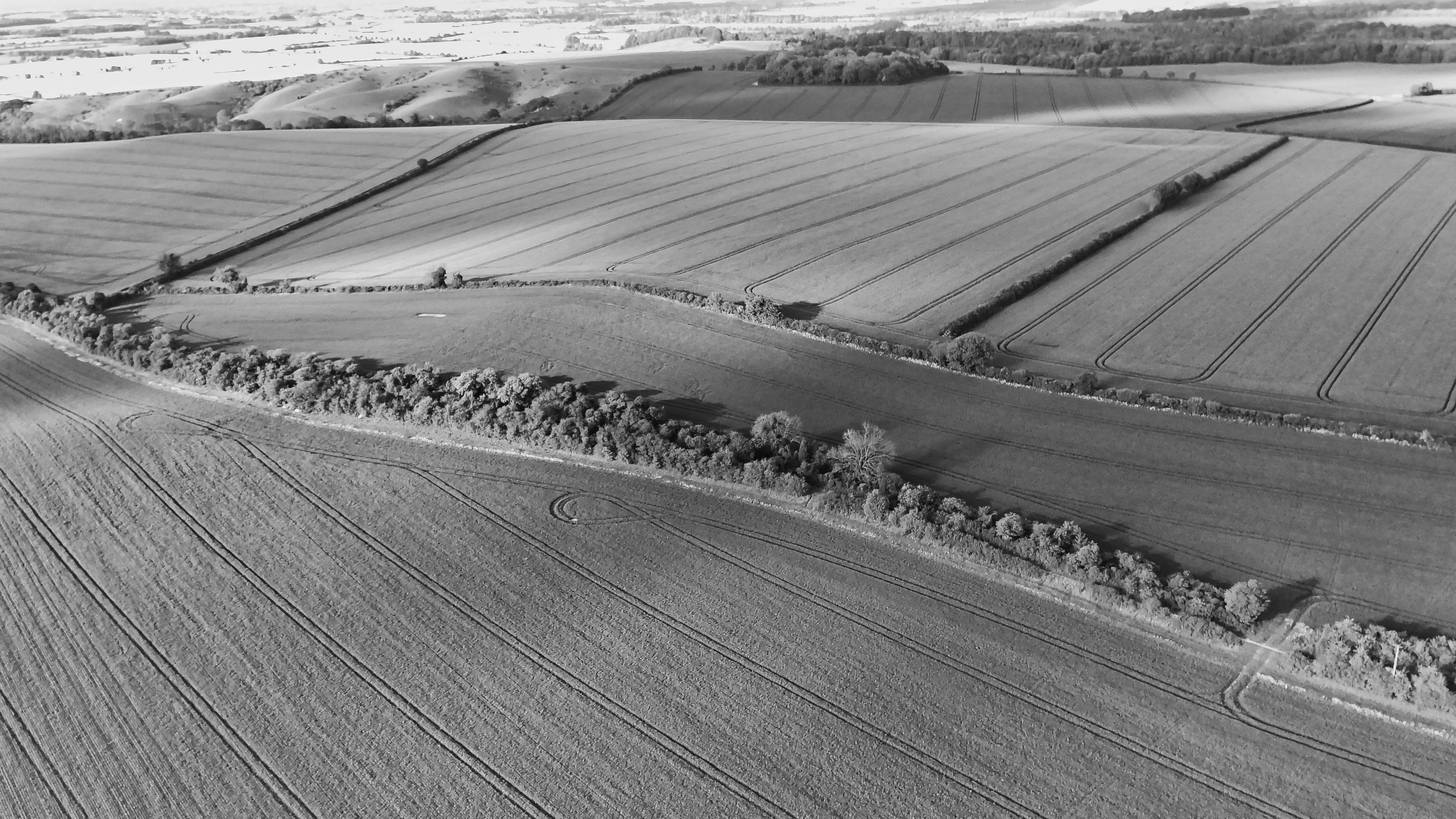 A Vast Agricultural Land · Free Stock Photo